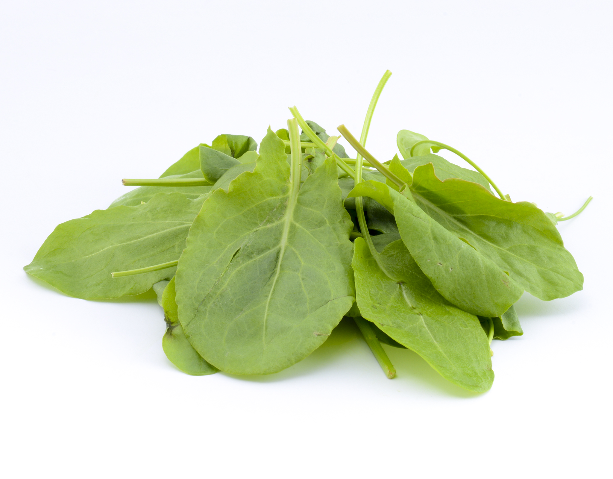Genting Garden Malaysia Baby Spinach, 100 g - Nutrient-Rich