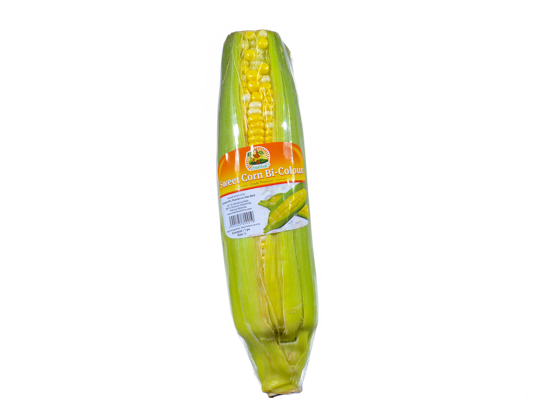 Fresh Ever MY Bi-Colour Sweet Corn, 1 pc - Premium Grade