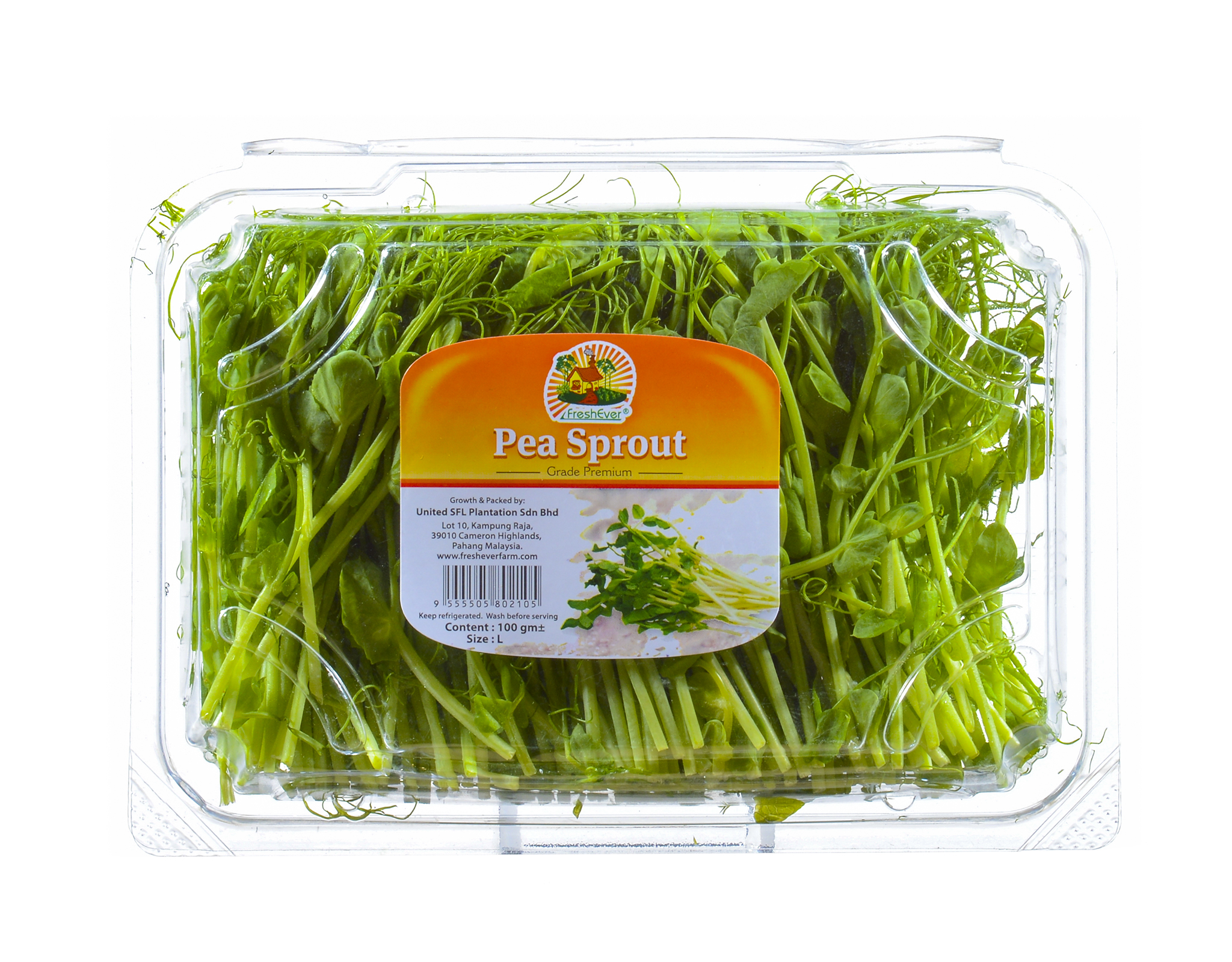 FreshEver Malaysia Pea Sprout, 100 g - Premium Grade