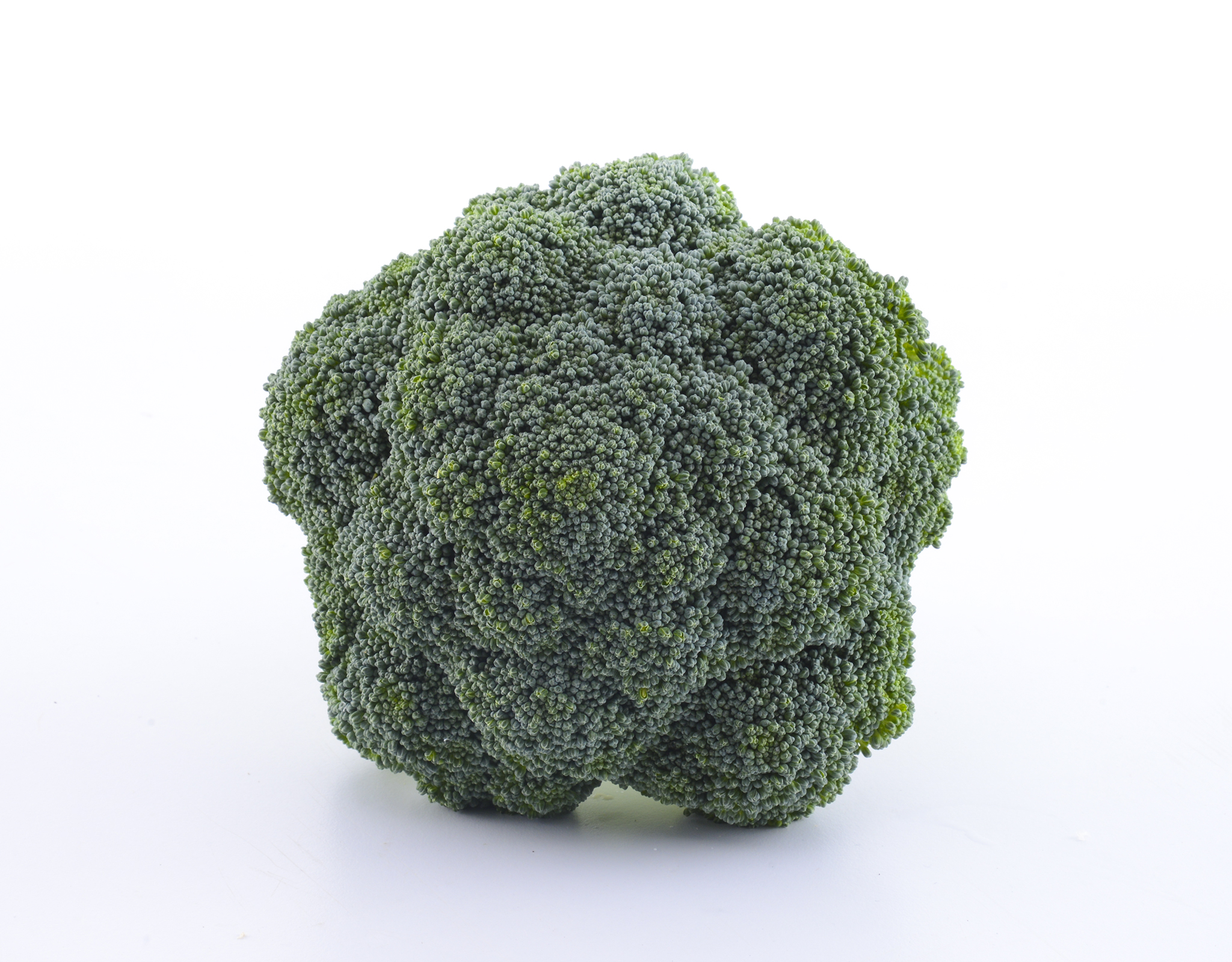 China Broccoli, 1 pcs - Fresh & Flavorful