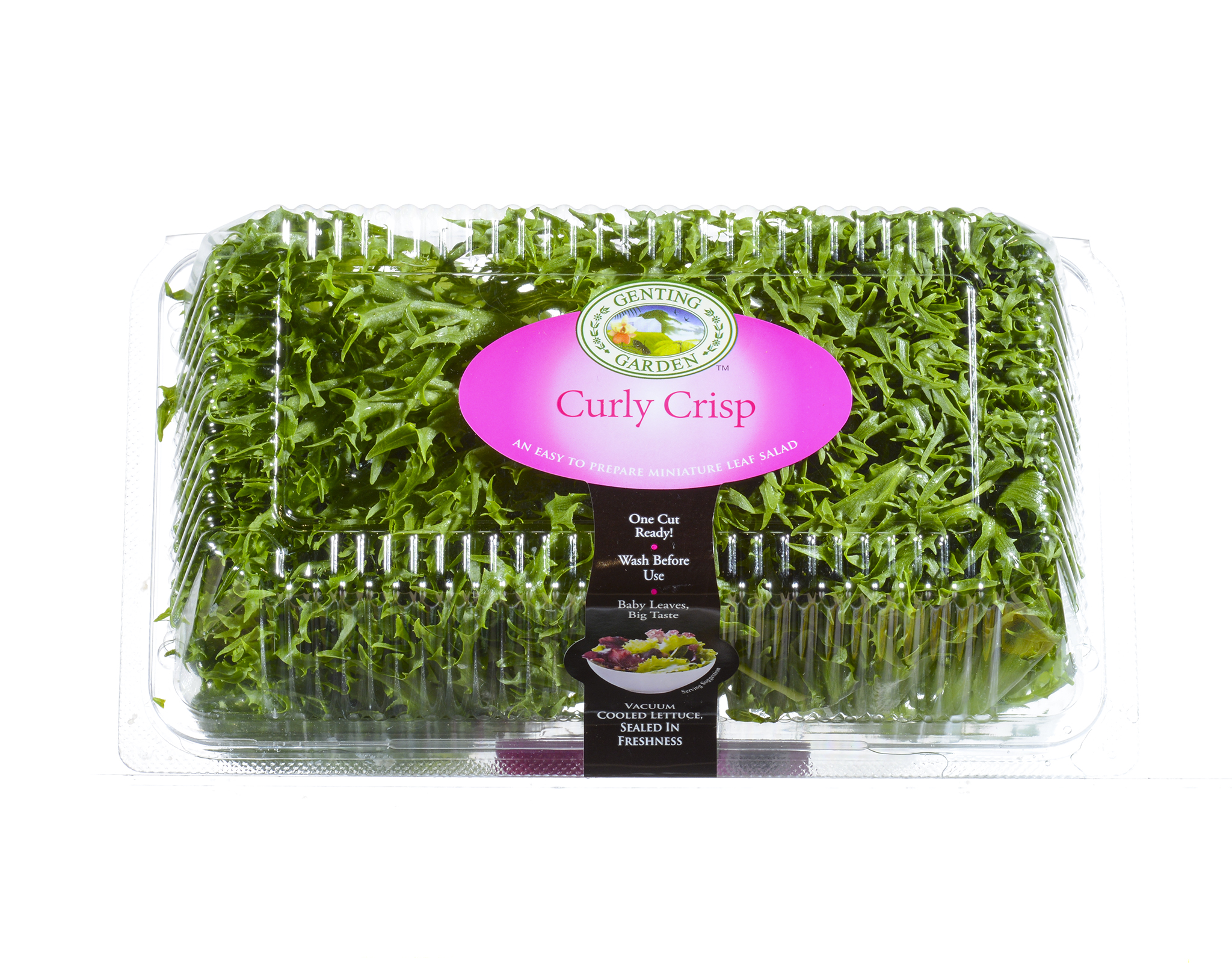 Genting Garden MY Curly Crisp, 1 pack - Crunchy Lettuce