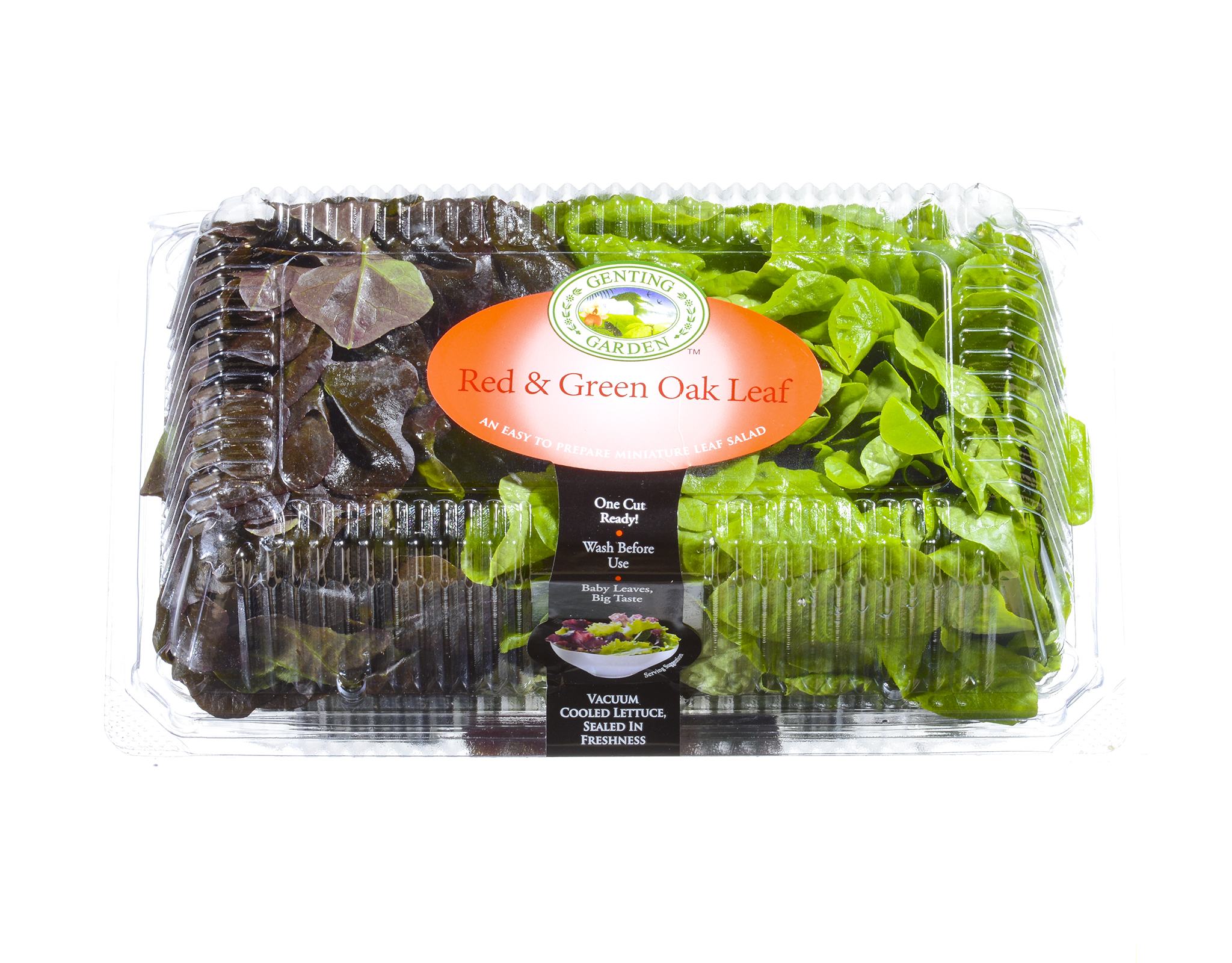 Genting Garden Red & Green Oak Leaf, 200g - Sealed Fresh