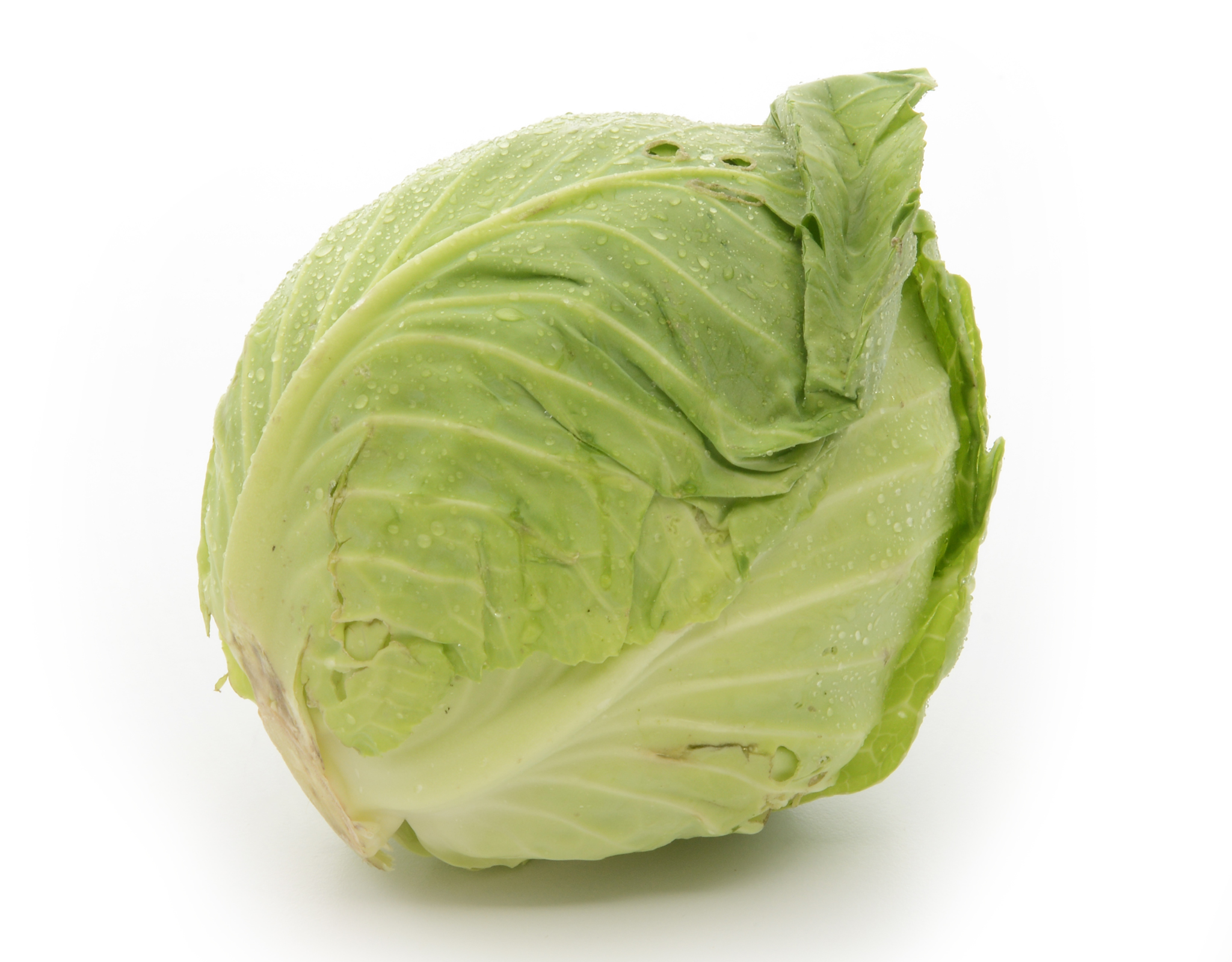 NFM Local Beijing Cabbage | myaeon2go