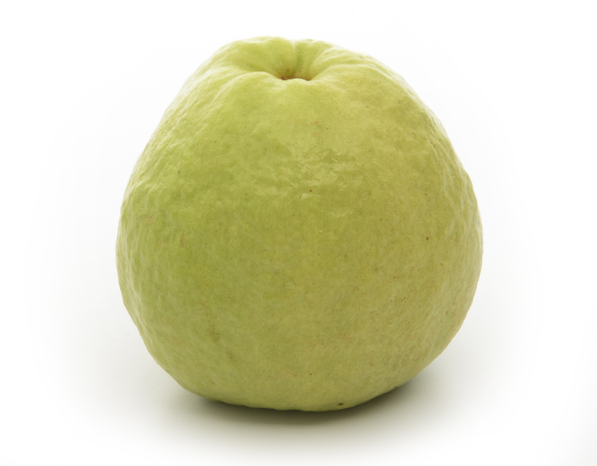 null Luo Han Guava +/- 900g-1.1kg | myaeon2go