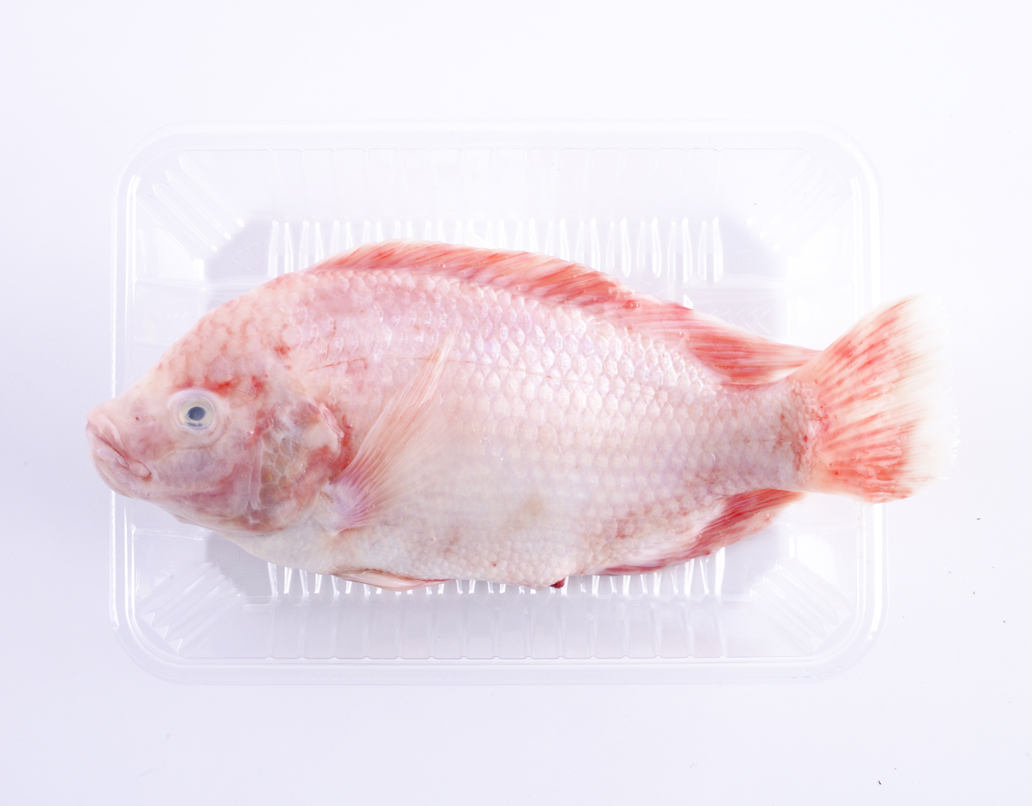Tilapia Merah 300gm-500gm | myaeon2go