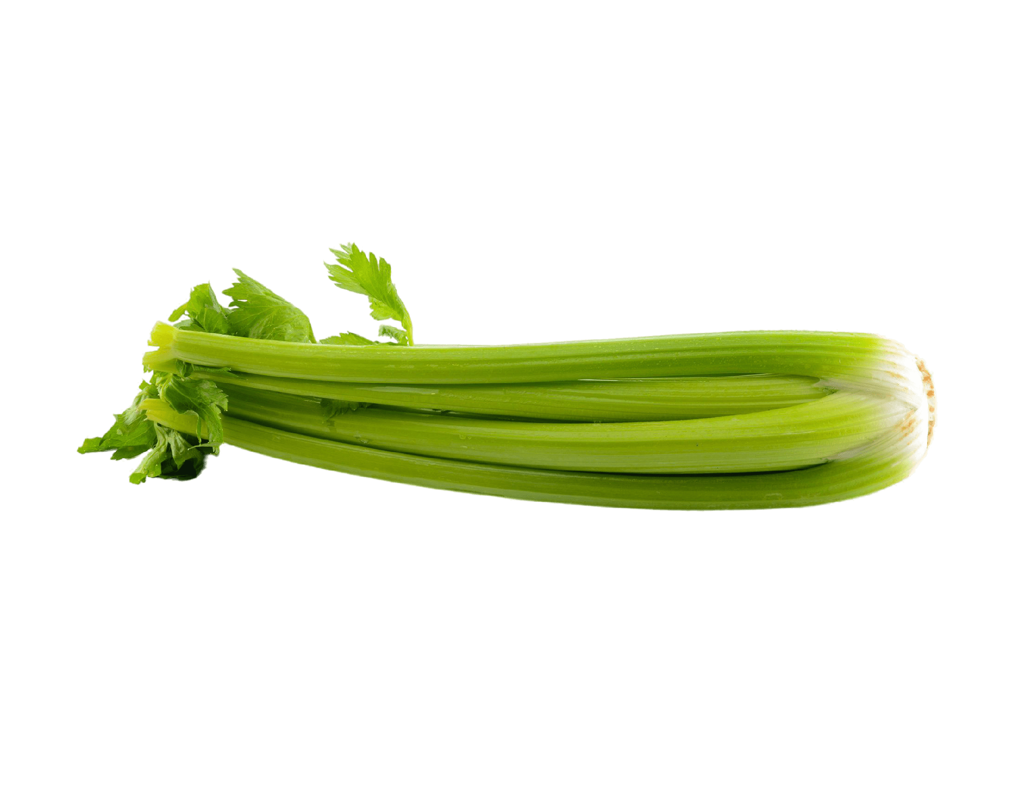 Fresh Australia Celery - Crisp and Flavorful Green Stalks