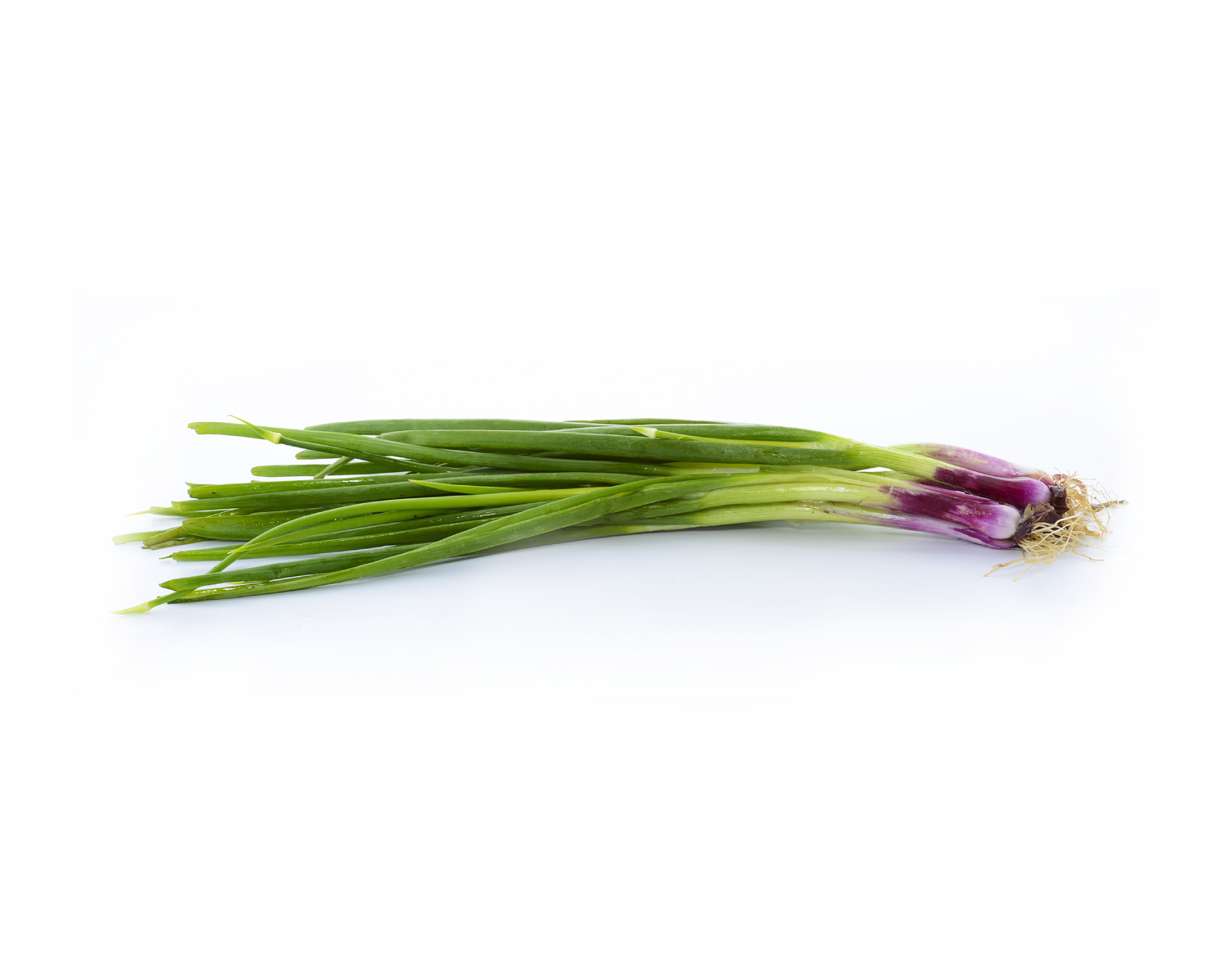 Mr. Green Spring Onion | myaeon2go
