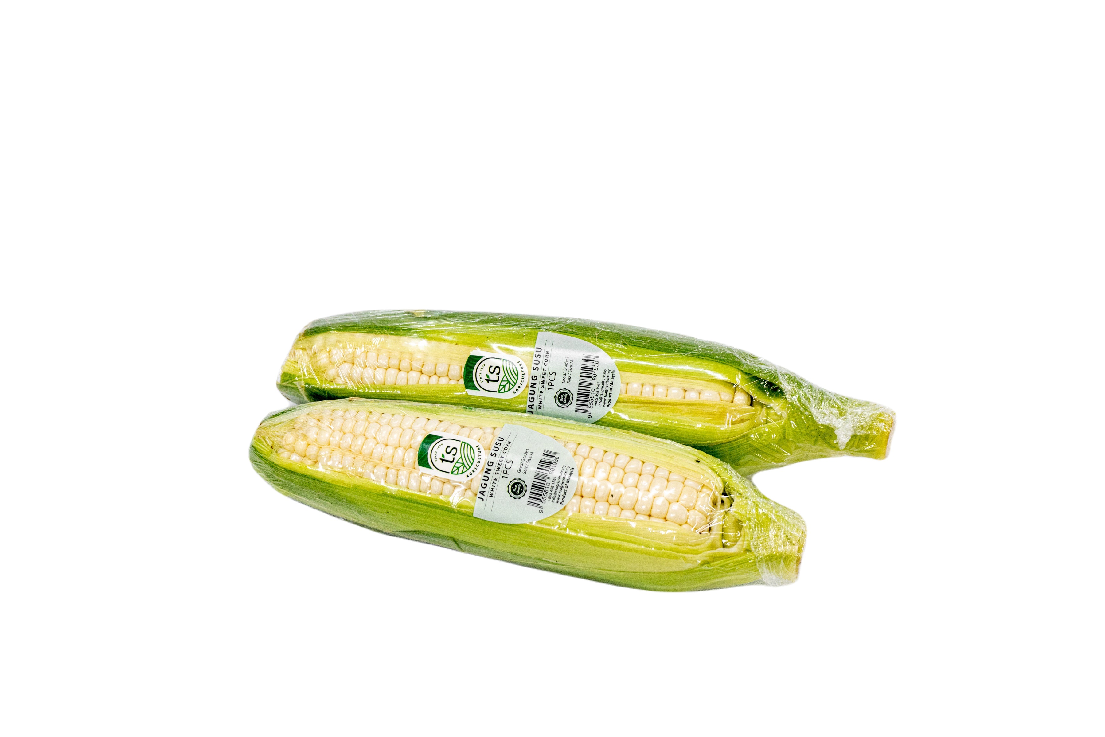 TS White Sweet Corn | myaeon2go