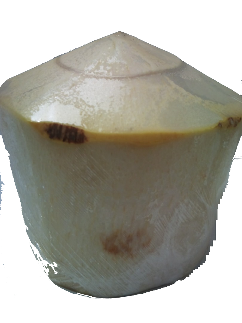 Coconut Top Off | myaeon2go