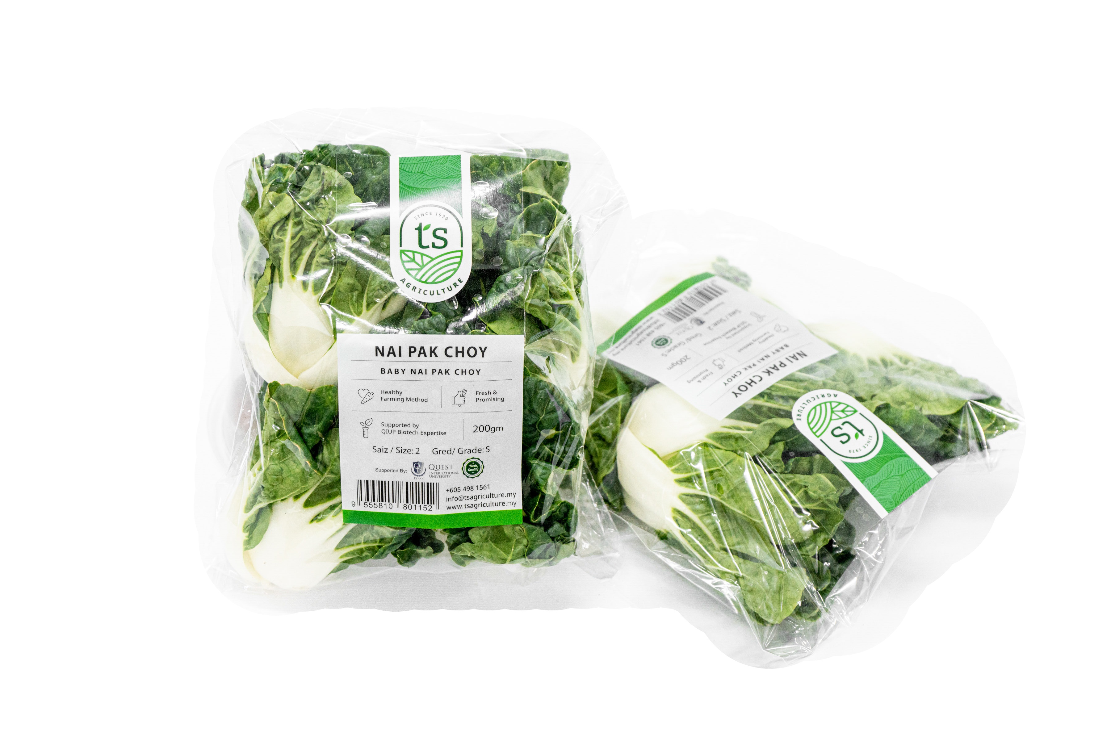 TS Baby Nai Pak Choy +/-200gm | myaeon2go