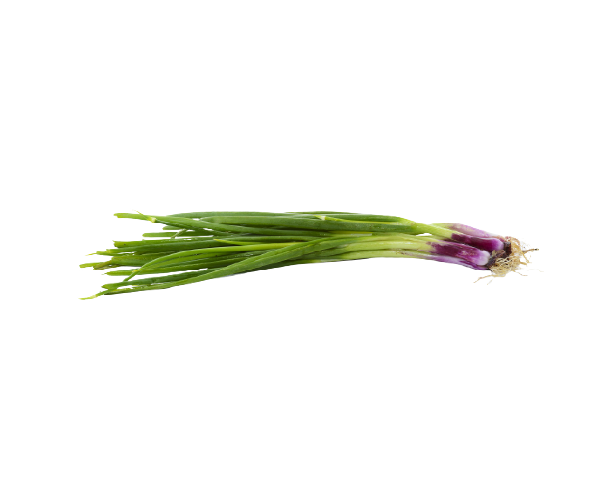 Segar2go Malaysia Spring Onion, 100 g - Fresh & Crisp