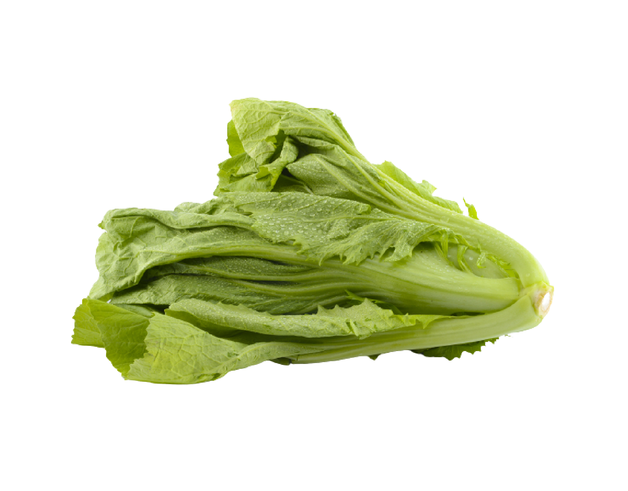 USFL Malaysia Mustard Kai Choy, 1 pack - Fresh & Nutritious