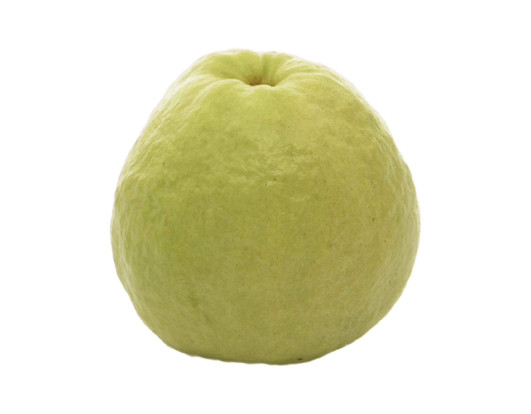Luo Han Guava (+/- 900 g - 1.1 kg)