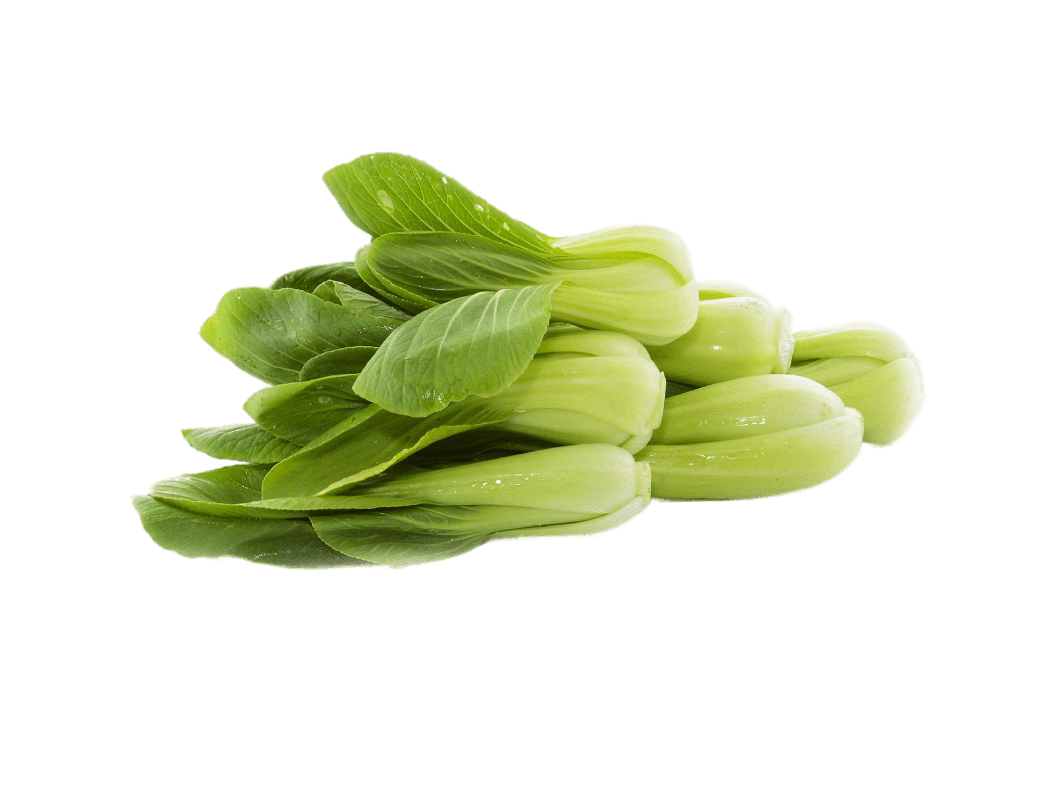 Fresh Segar2go Small Pak Choy - Crisp and Nutritious