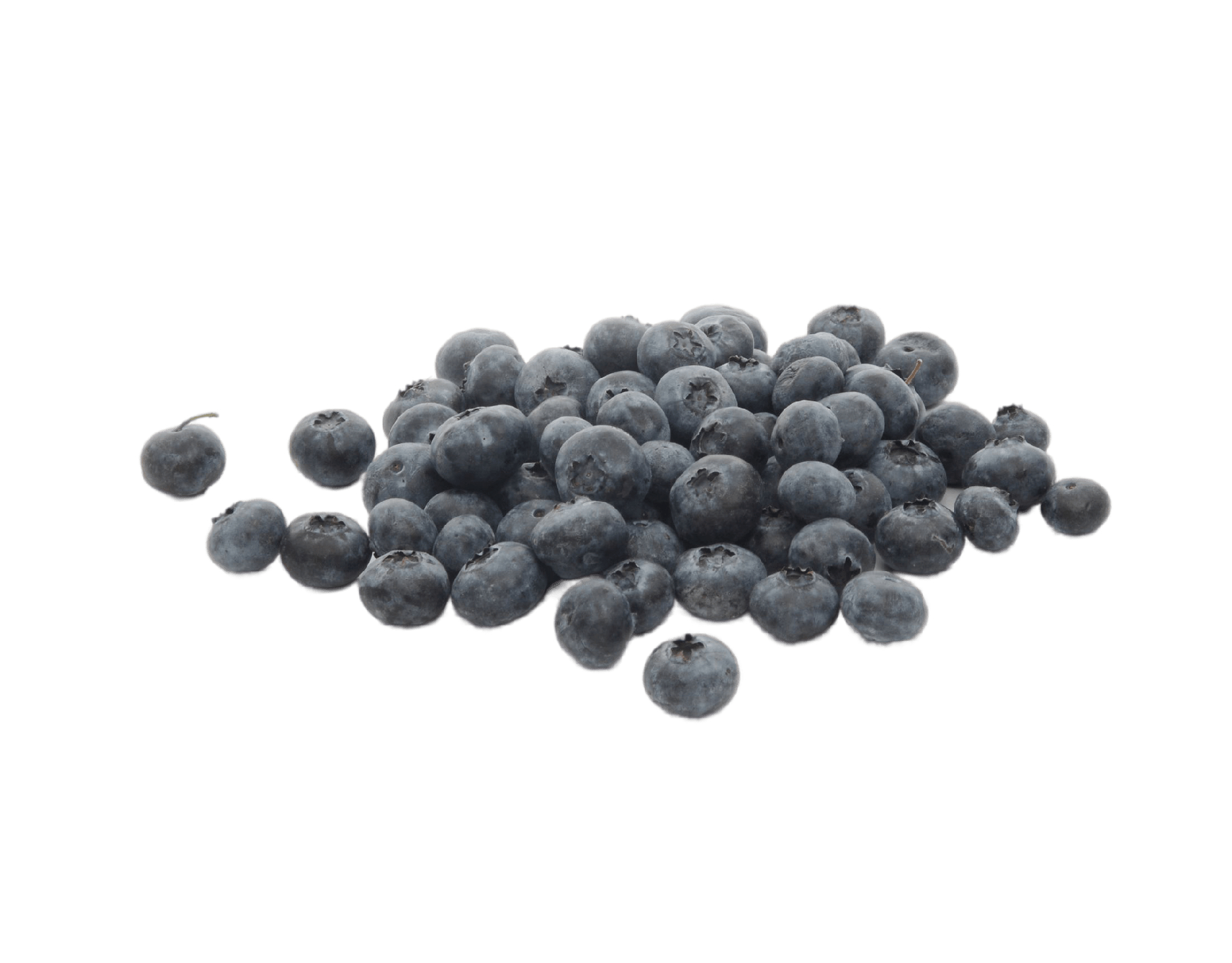 Blueberry, 125g - Antioxidant Rich Snack
