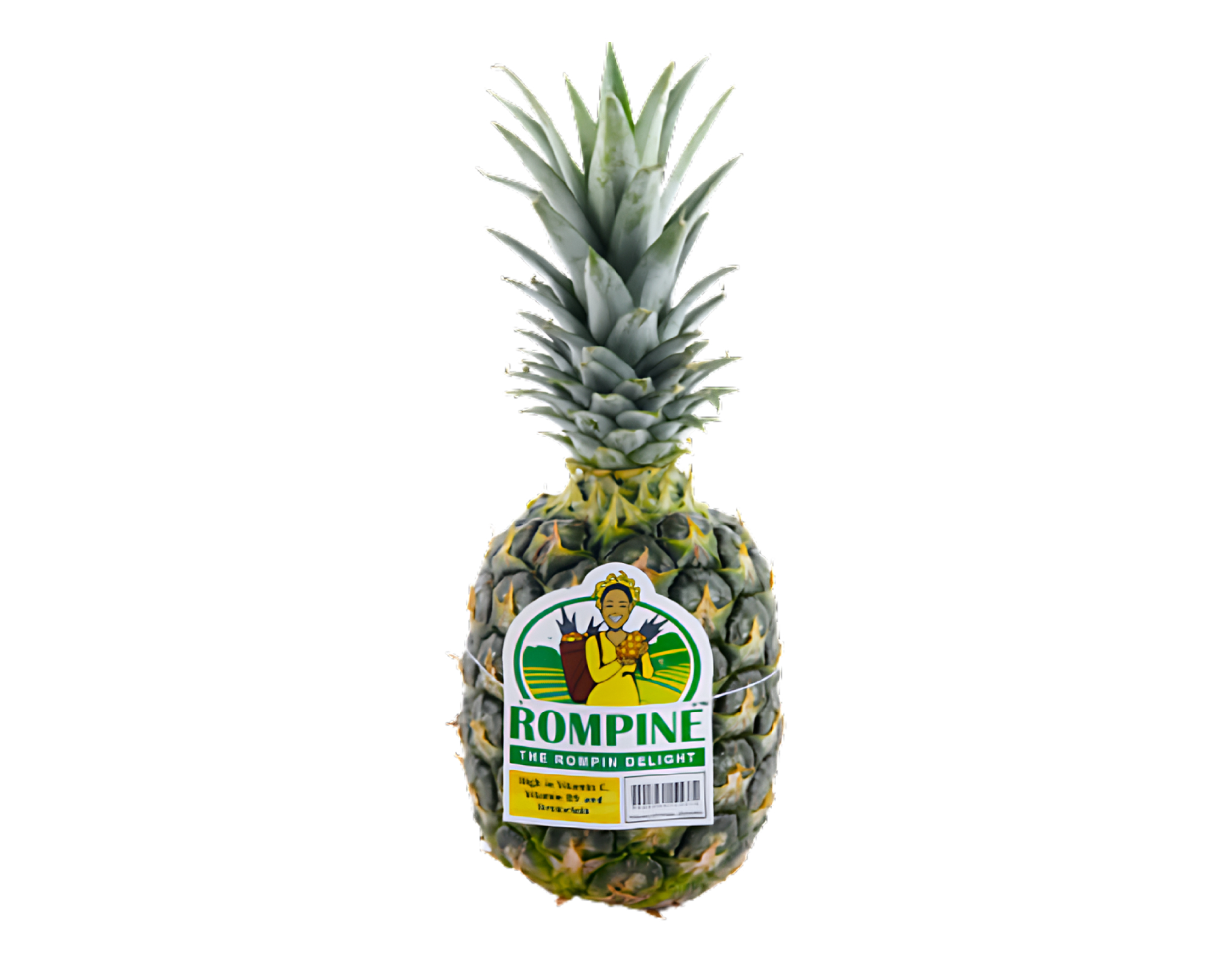 Rompine Malaysia MD2 Pineapple, 1.49 kg - Sweet & Juicy