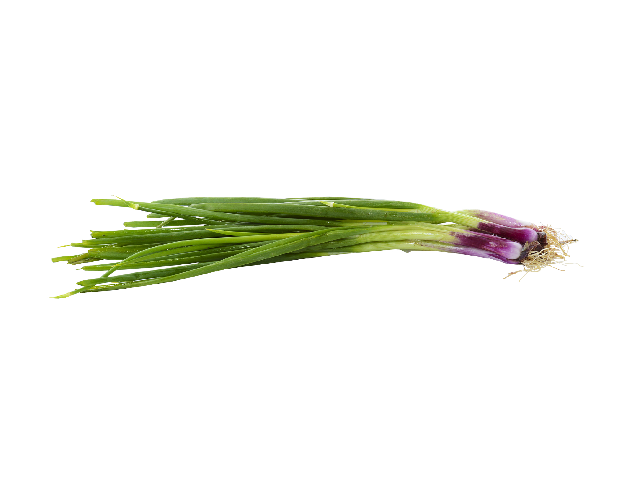 Edsam Spring Onion, Malaysia, 100g - Fresh Produce