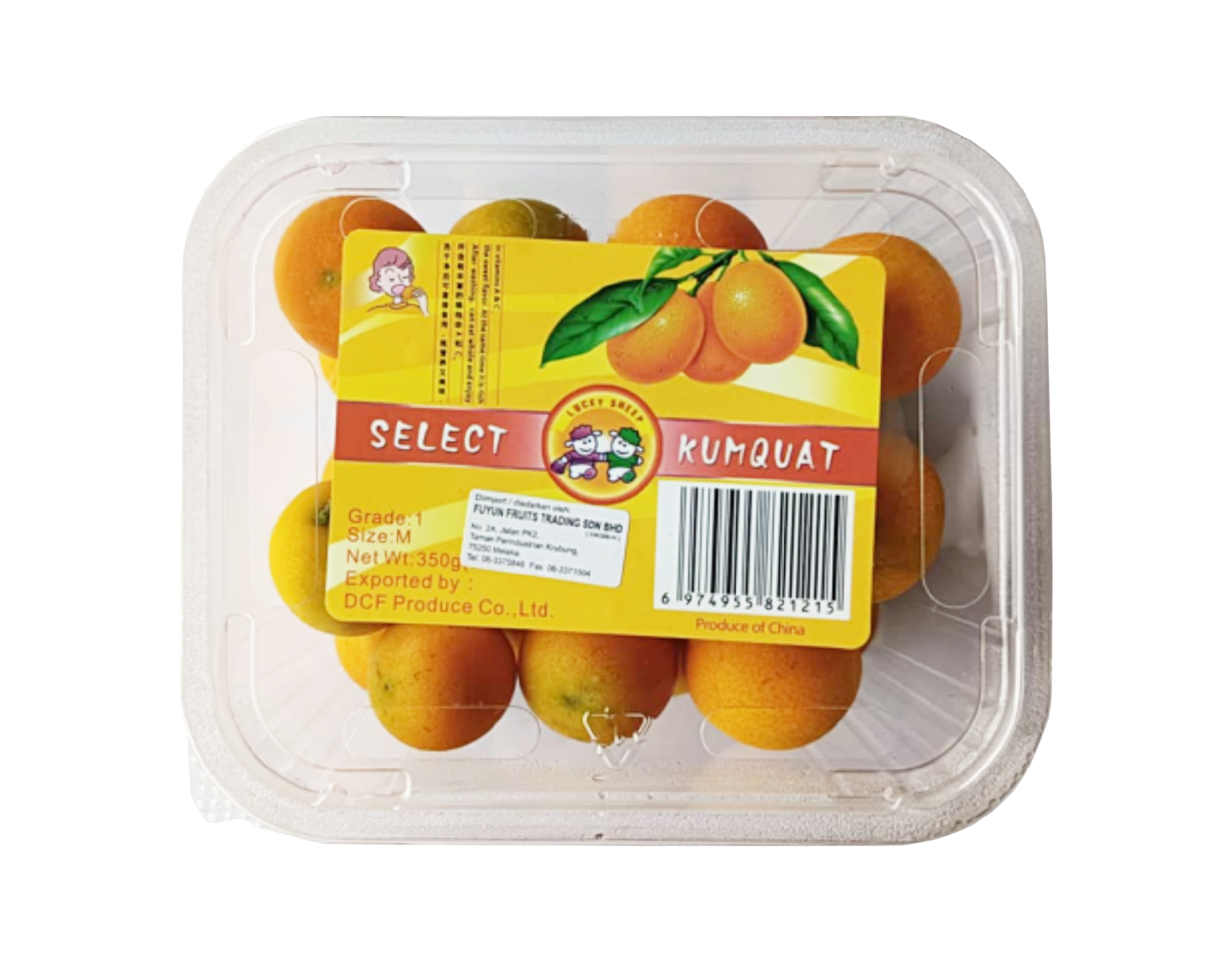 China Kum Quat | myaeon2go