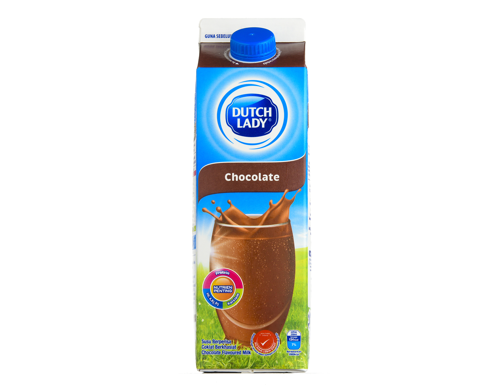 Dutch Lady Pure Farm Pasteurised Chocolate Milk | myaeon2go