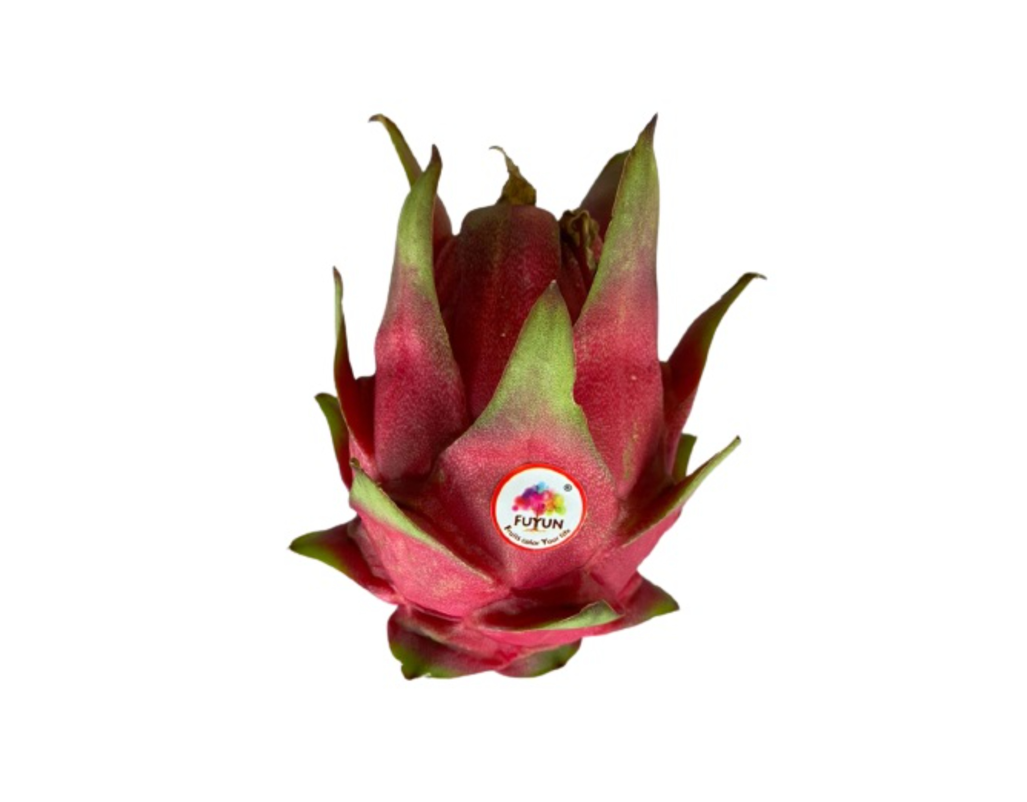 Red Dragon Fruit | myaeon2go