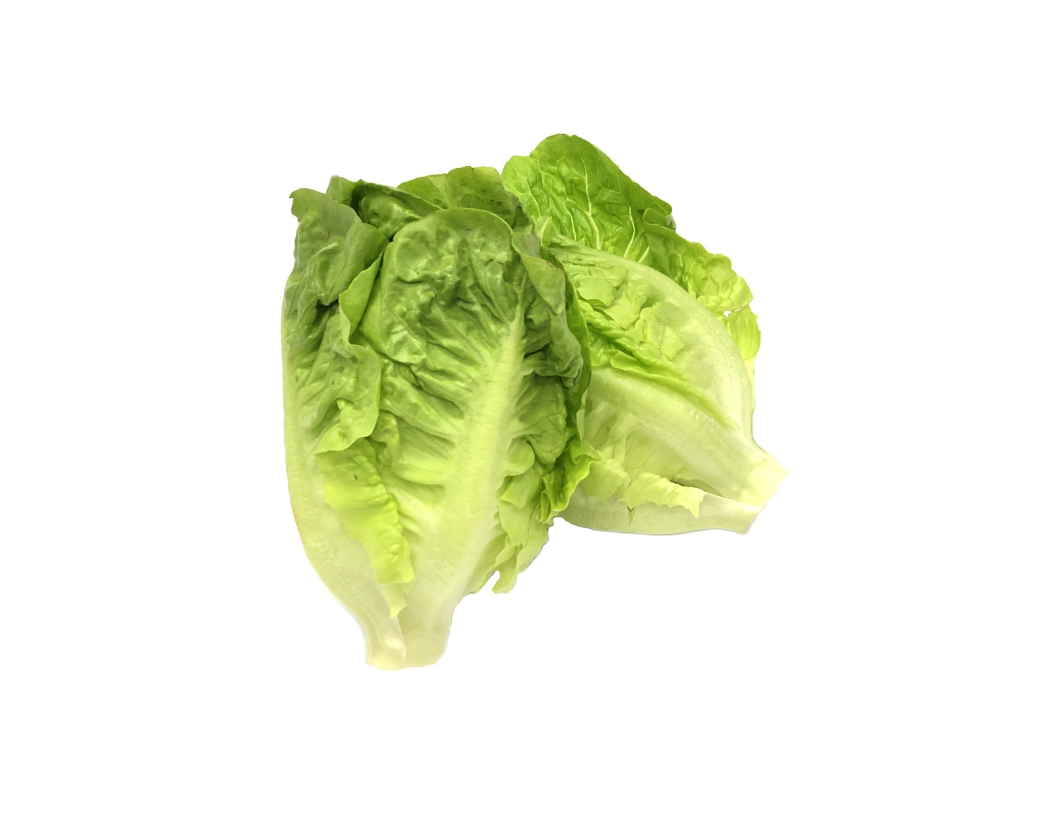 Segar2go Heong Mark Tham, 300g - Crisp & Fresh