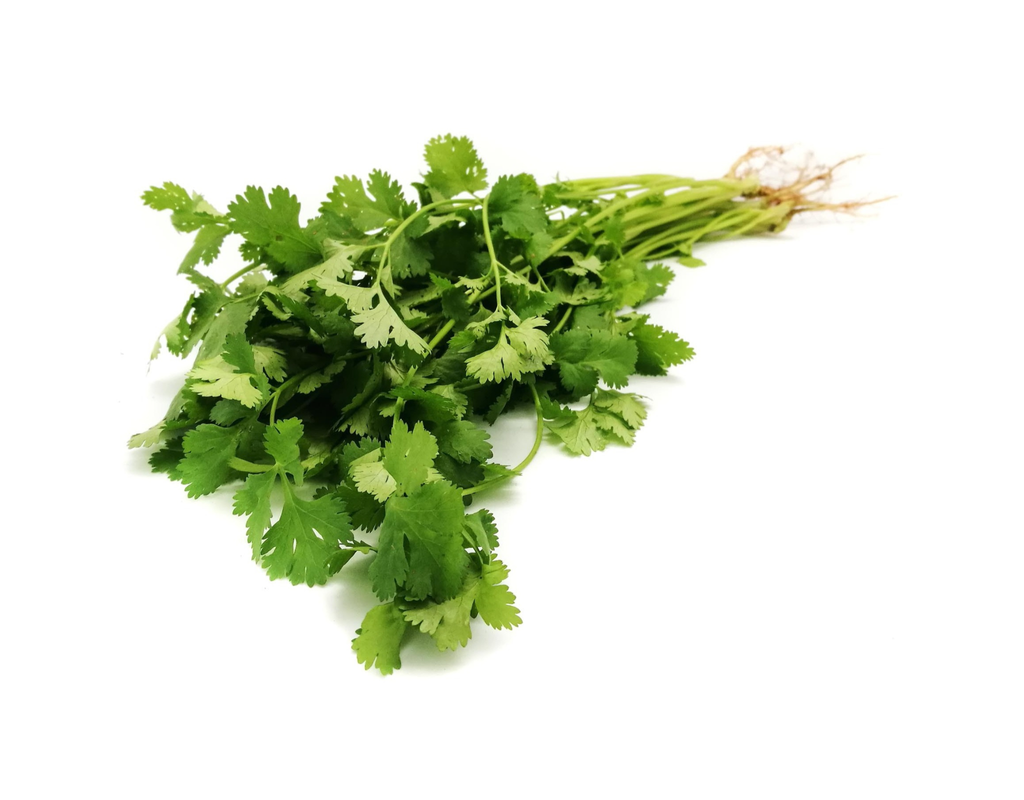 Segar2go Malaysia Coriander Leaves, 100g - Fresh Aroma