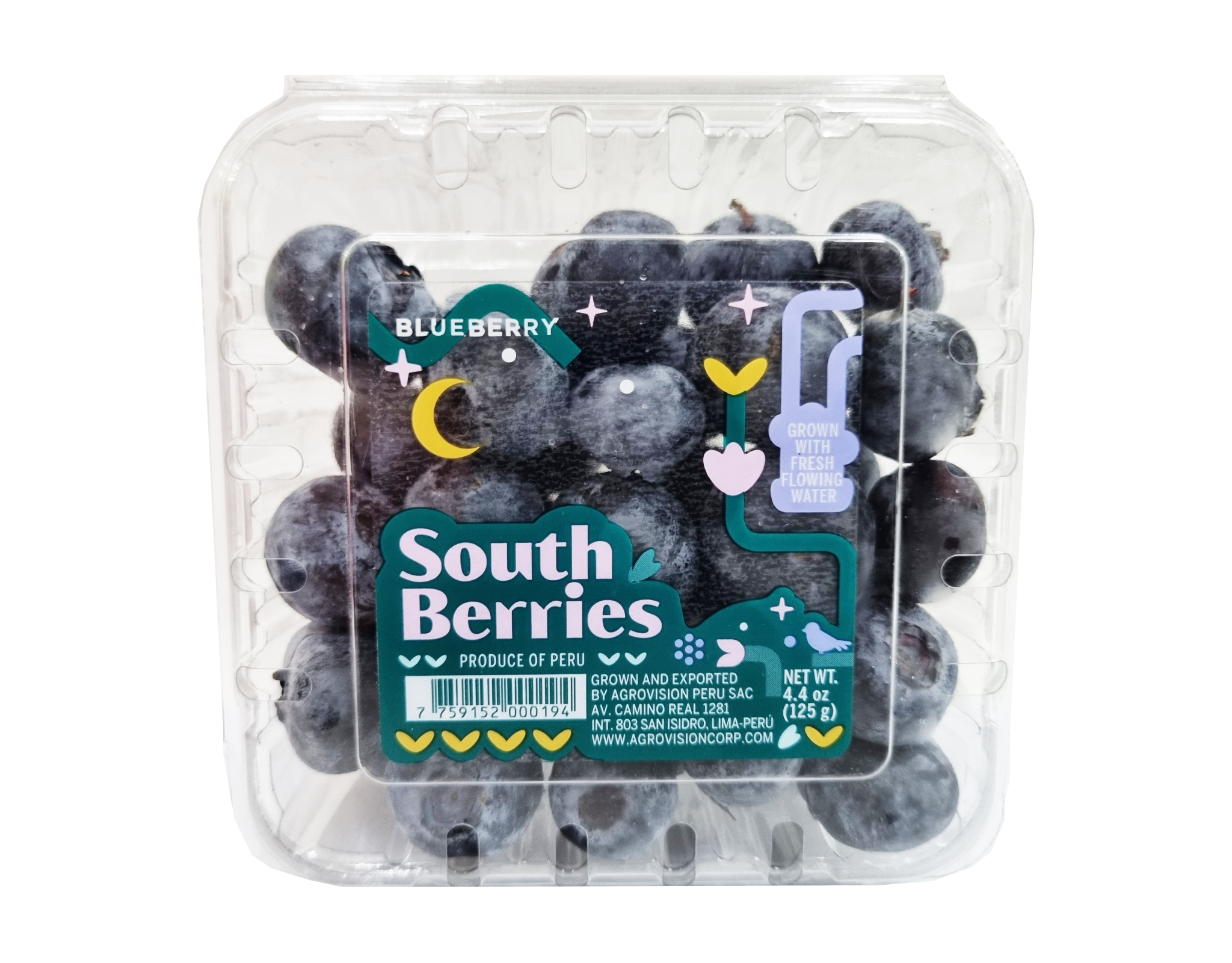 Jumbo Blueberry ( 1 Pack ) | myaeon2go