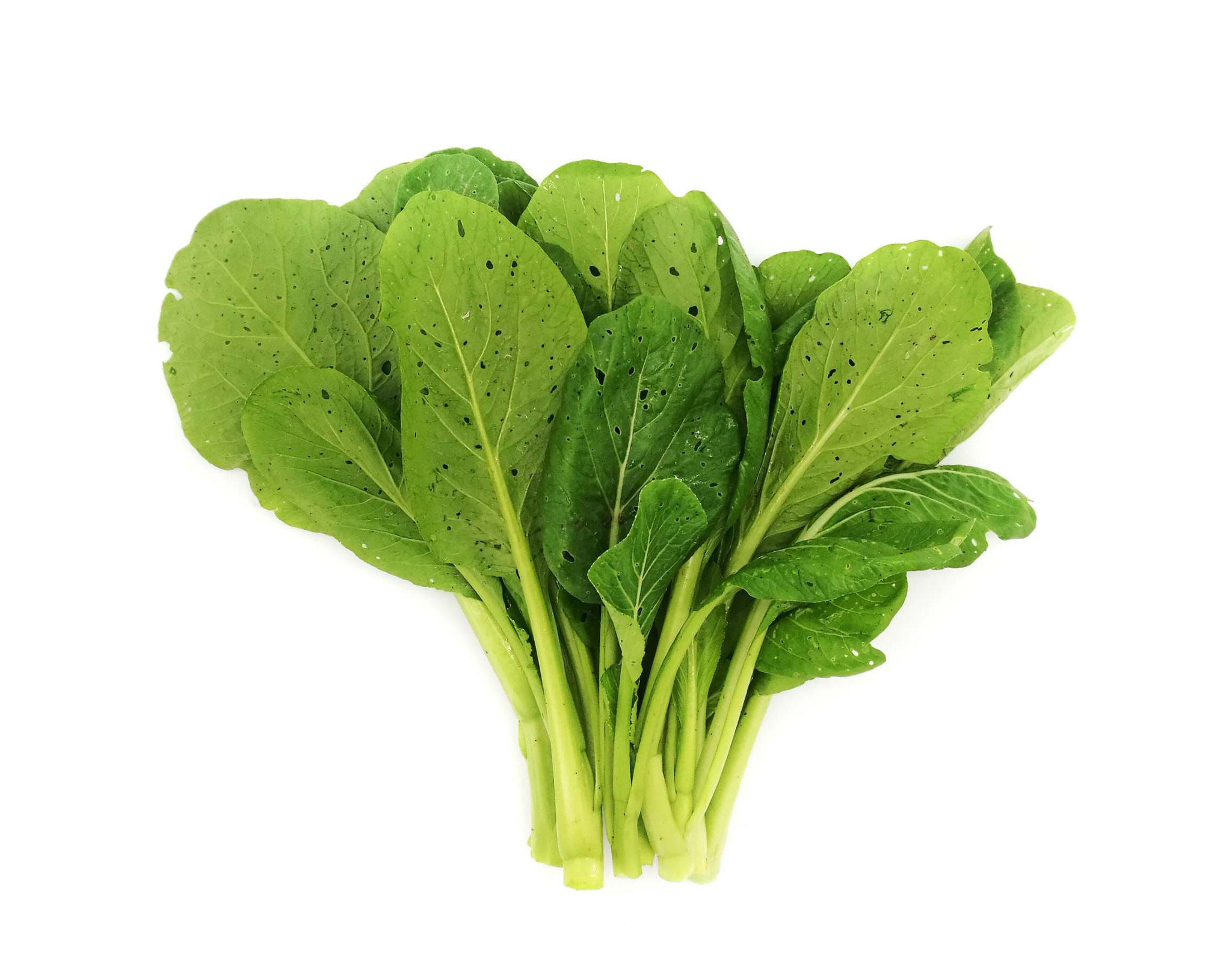 Zenxin Organic Hong Kong Choy Sum | myaeon2go