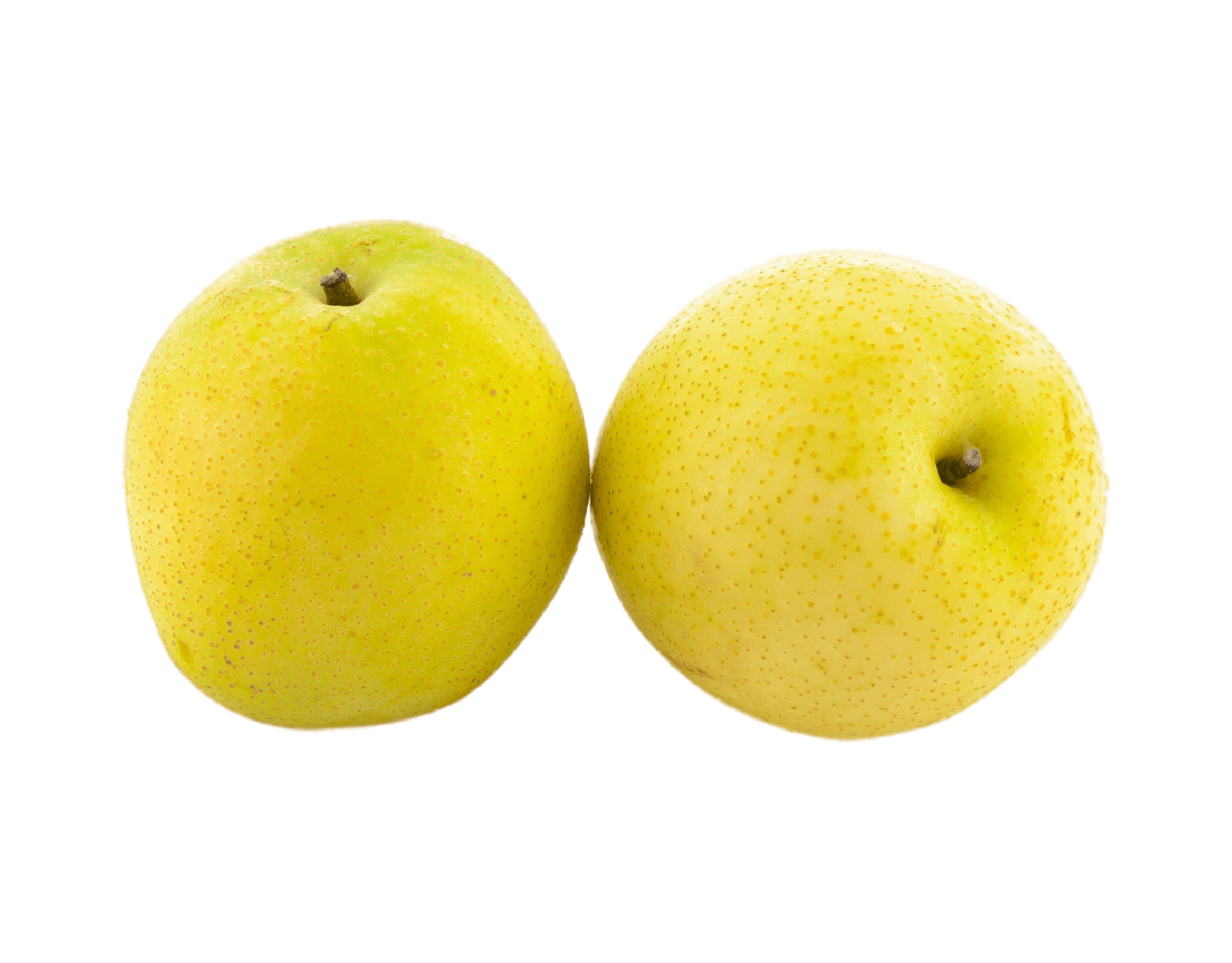 China Golden King Pear China Golden King Pear | myaeon2go
