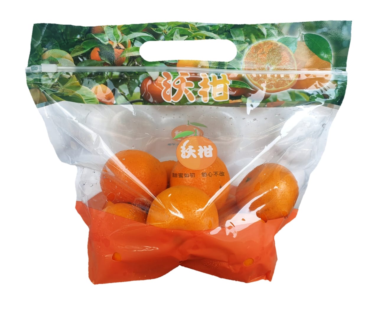 China Wogan Mandarin | myaeon2go