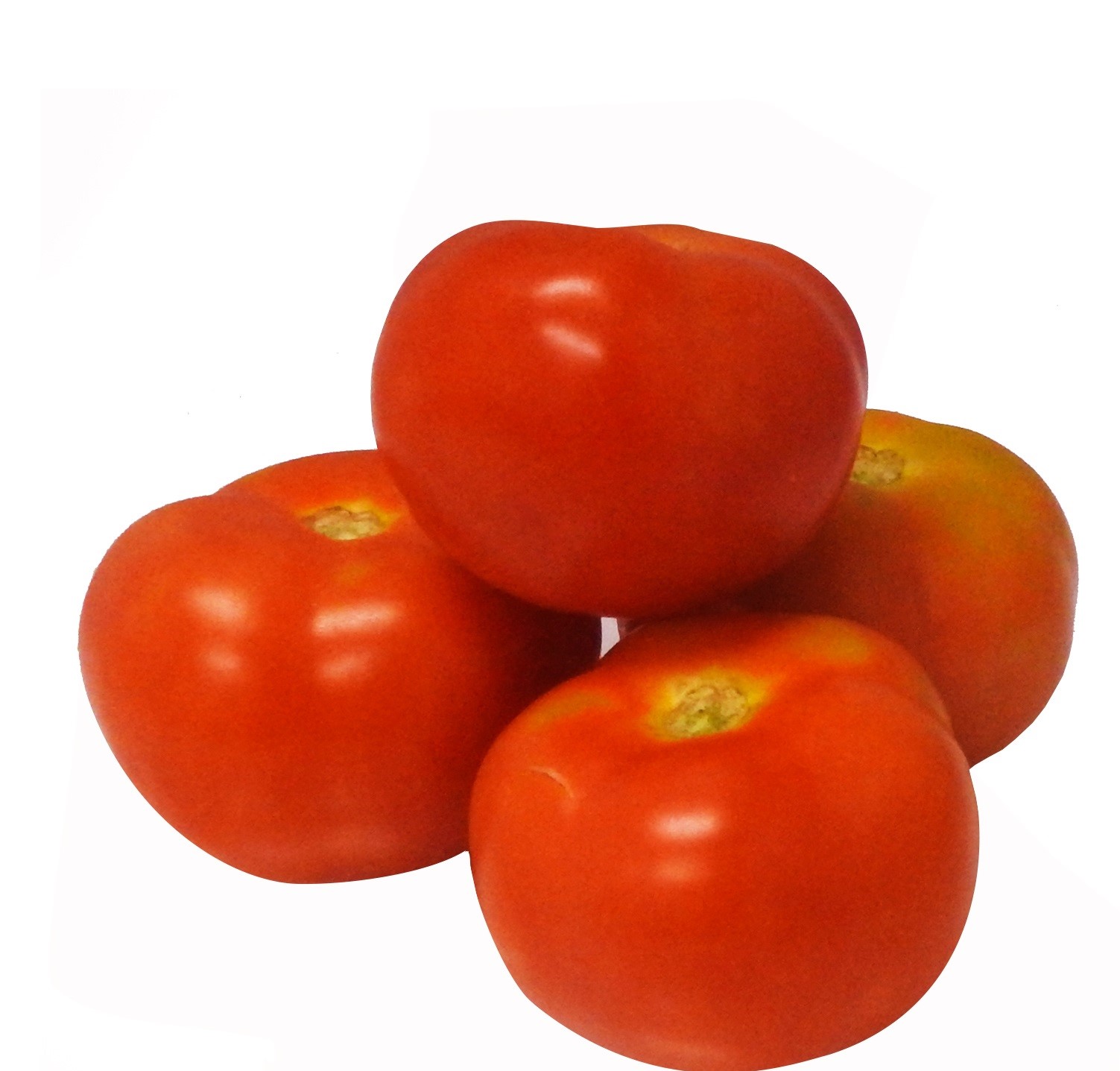 Malaysia Local Tomato, 500g - Fresh & Juicy Quality