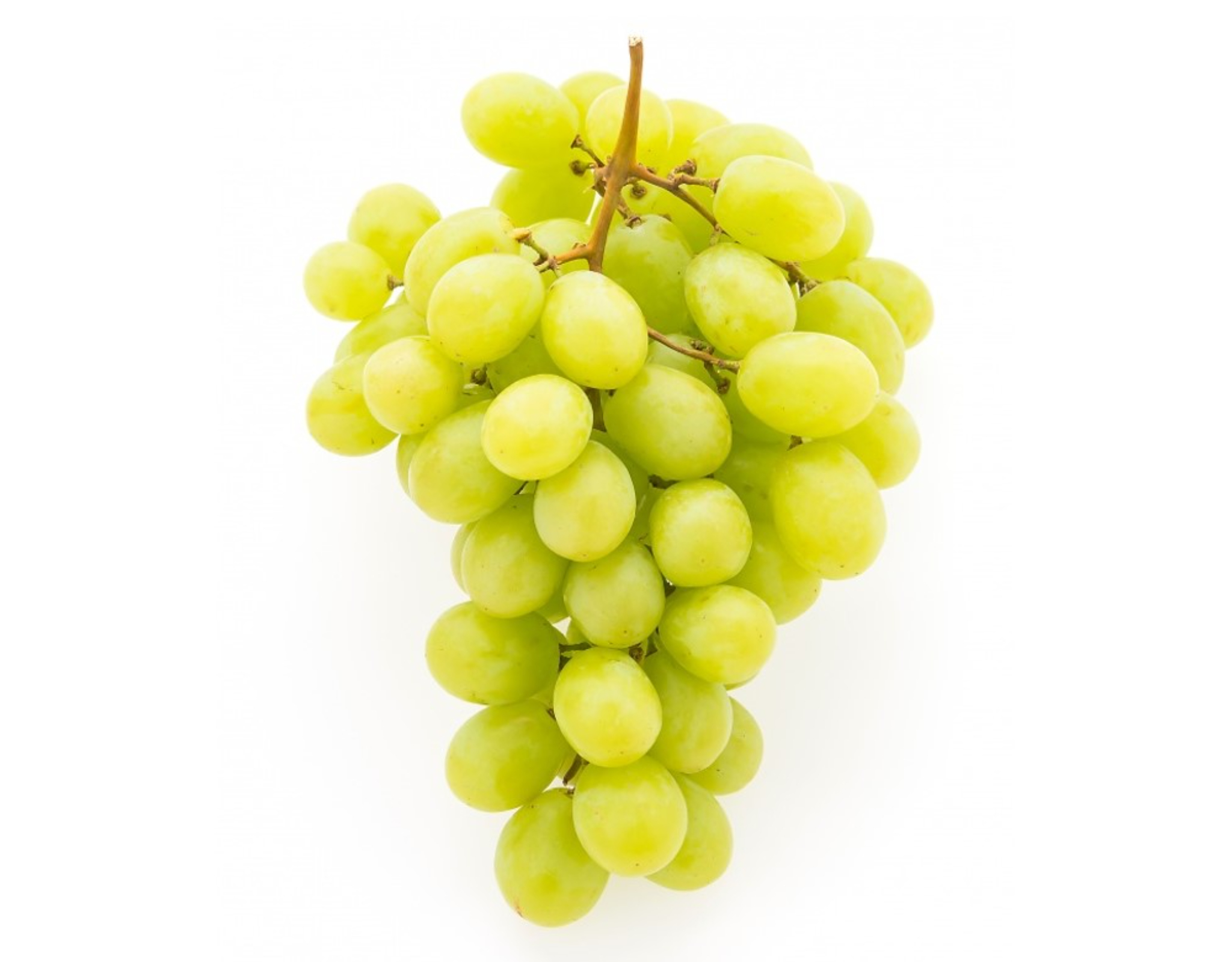 Australia Sweet Globe Green Seedless Grapes | myaeon2go