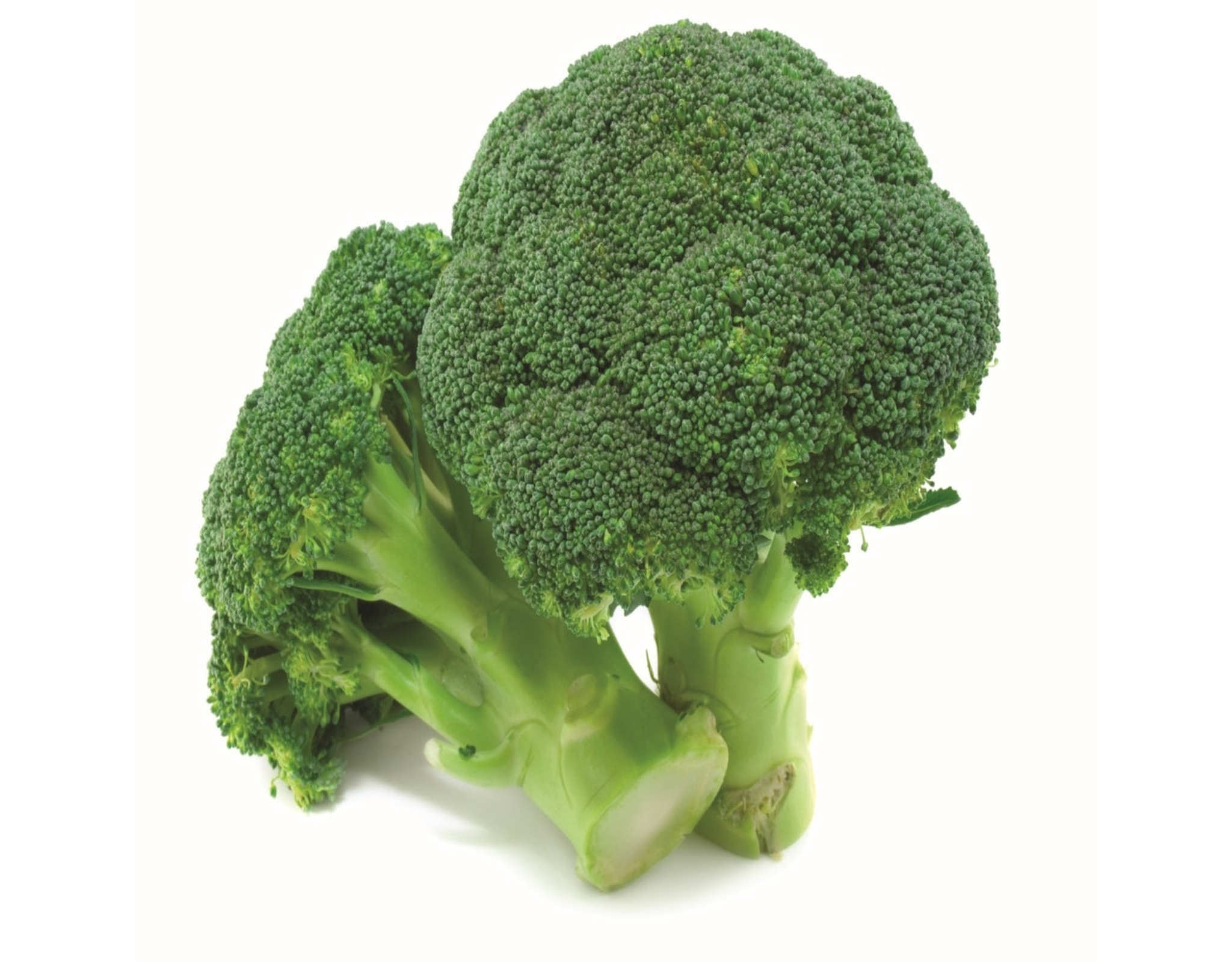 Australia Broccoli, +/- 330 g - Fresh & Flavorful