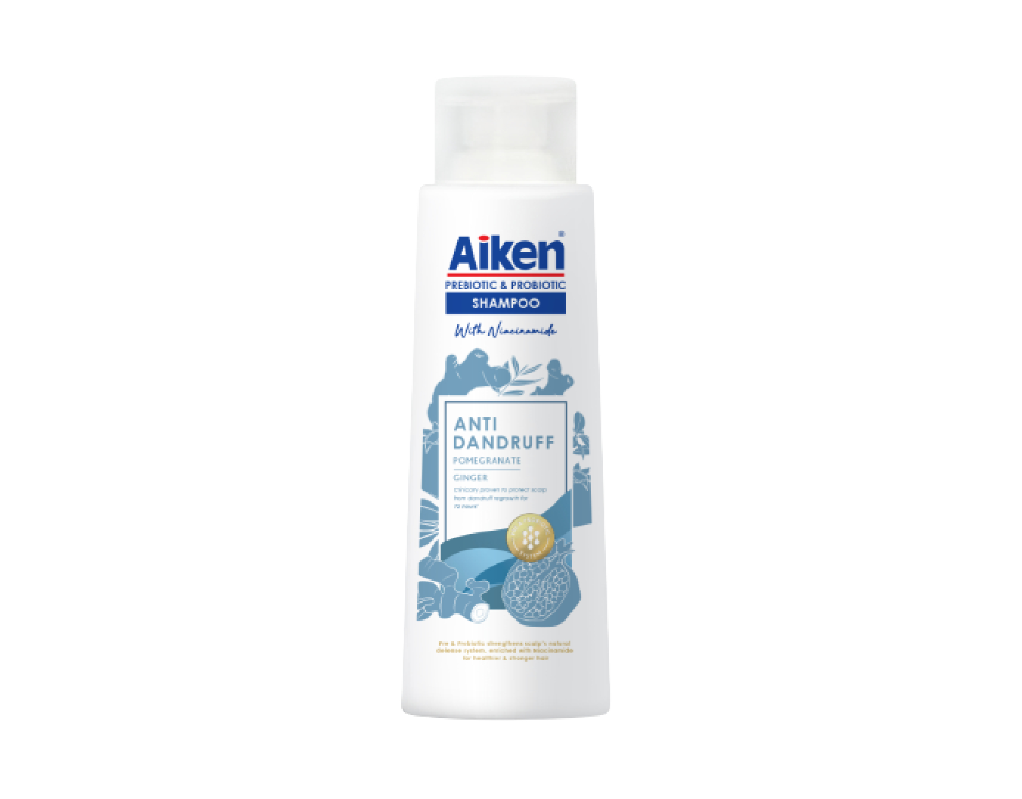 Aiken Shampoo Anti Dandruff | myaeon2go
