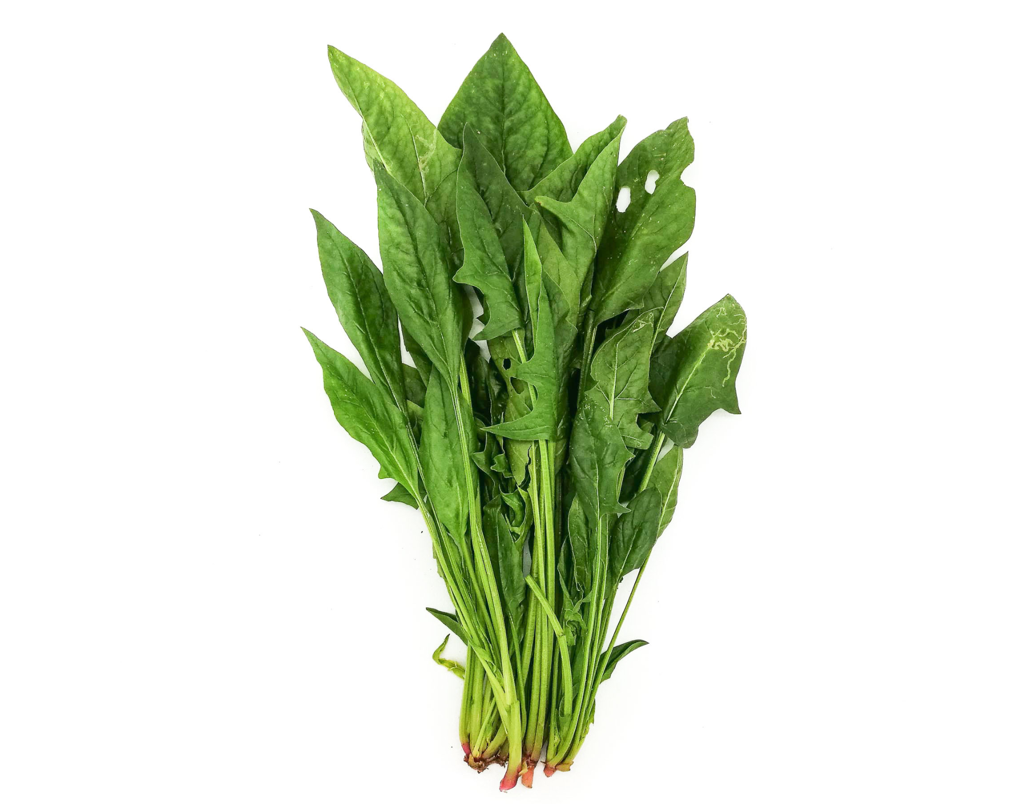 Zenxin Malaysia Organic Spinach, 200g - Vitamin Rich