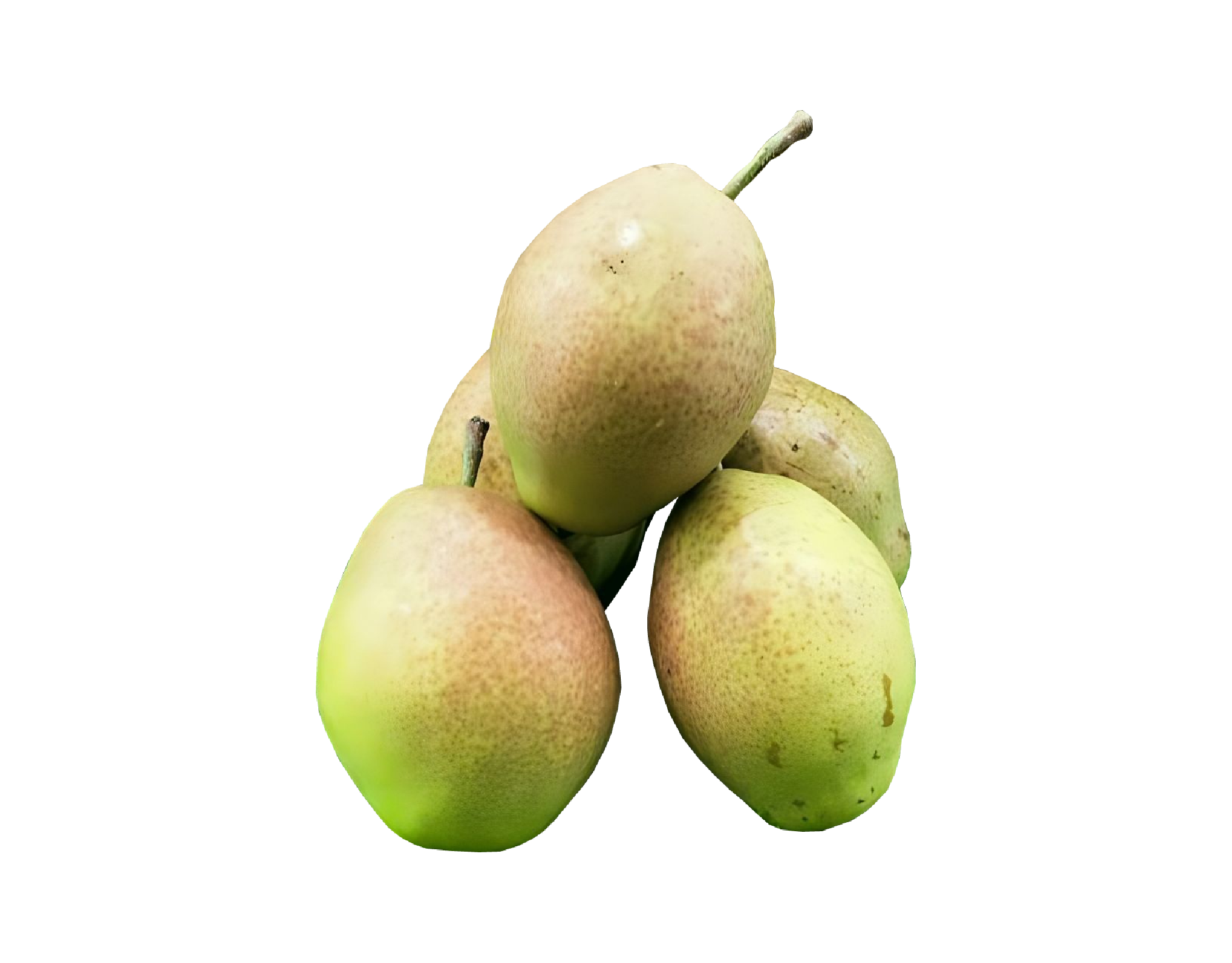 China Fragrant Pear (1 Pack) | myaeon2go
