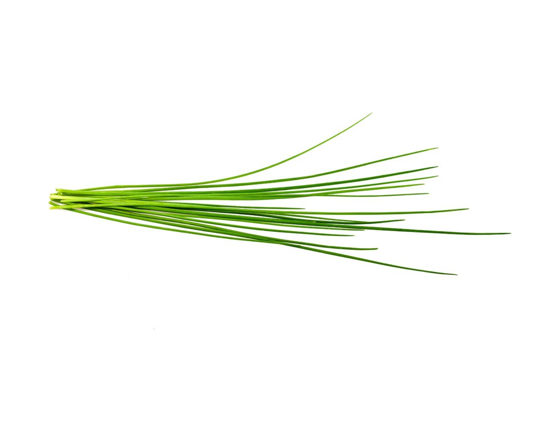 Segar2go Malaysia Chives, 100 g - Fresh, Versatile Flavor