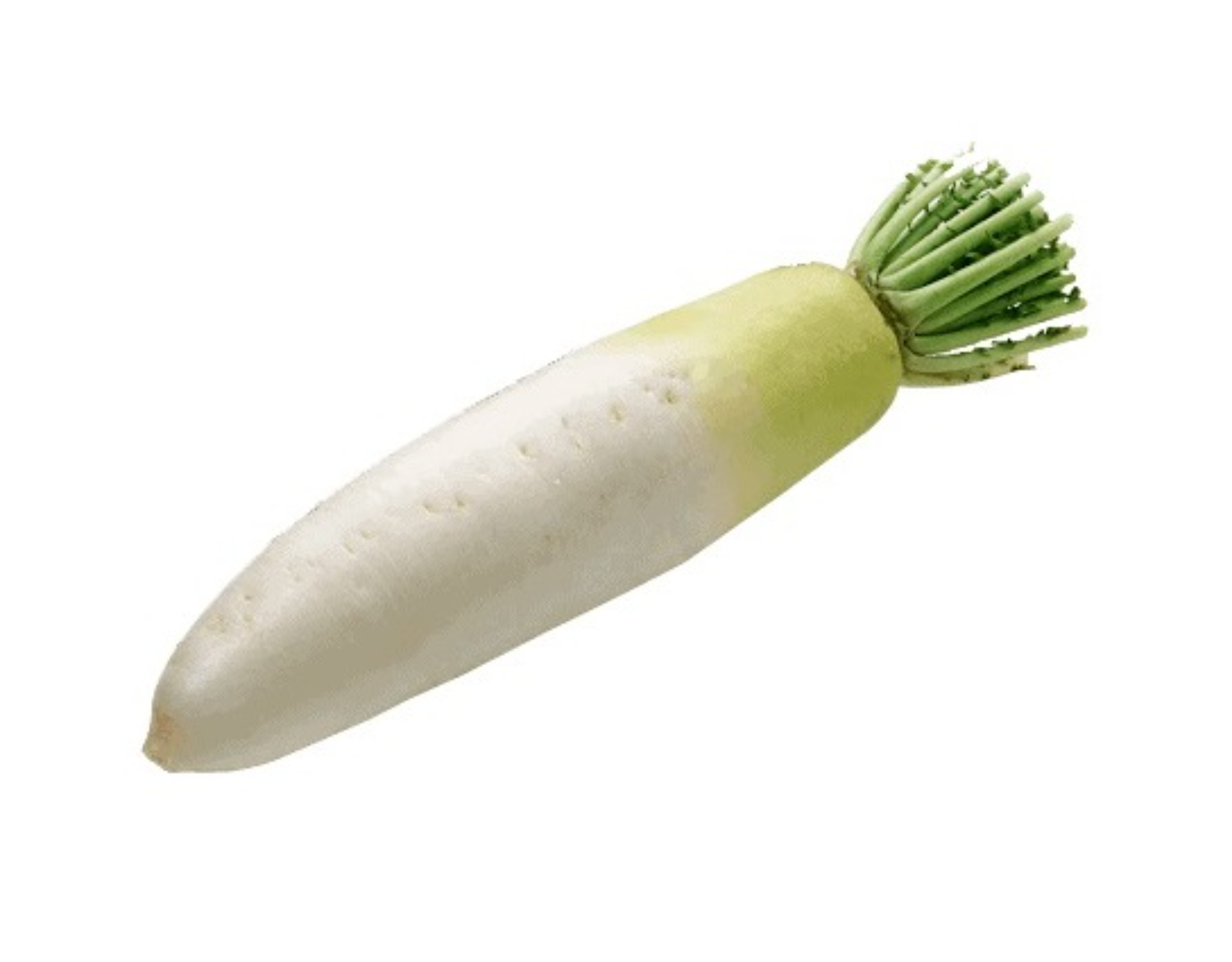 Segar2go Malaysia White Radish, 350g - Fresh & Local