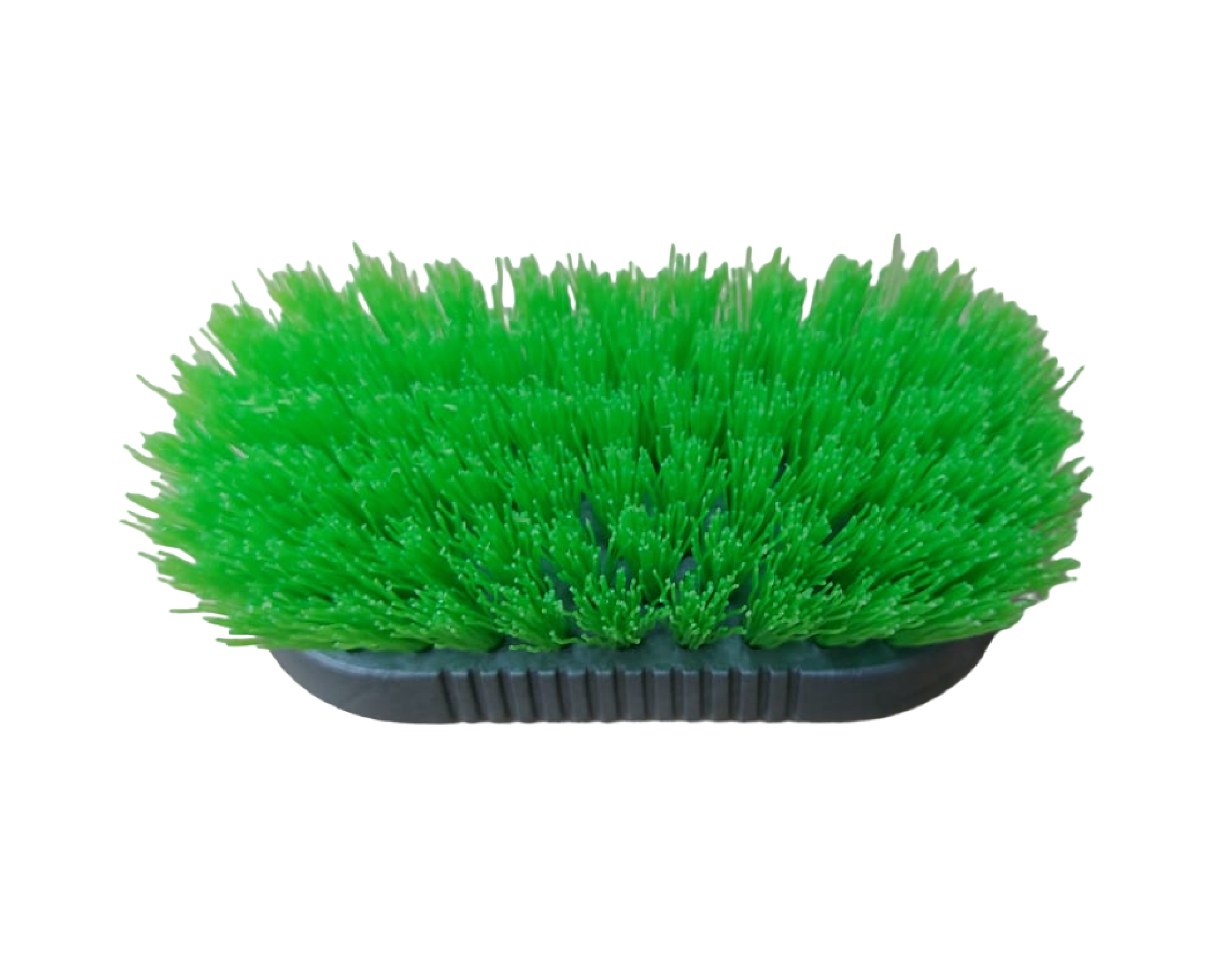 Rayaco Washing Brush-Hard (ECO 614) | myaeon2go