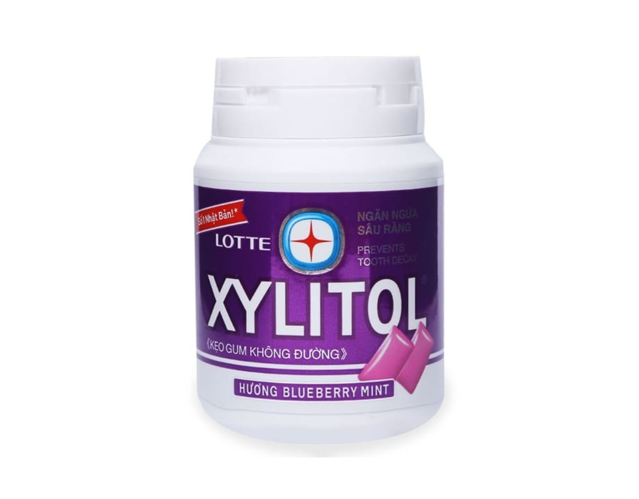 Xylitol Chewing Gum Blueberry | myaeon2go