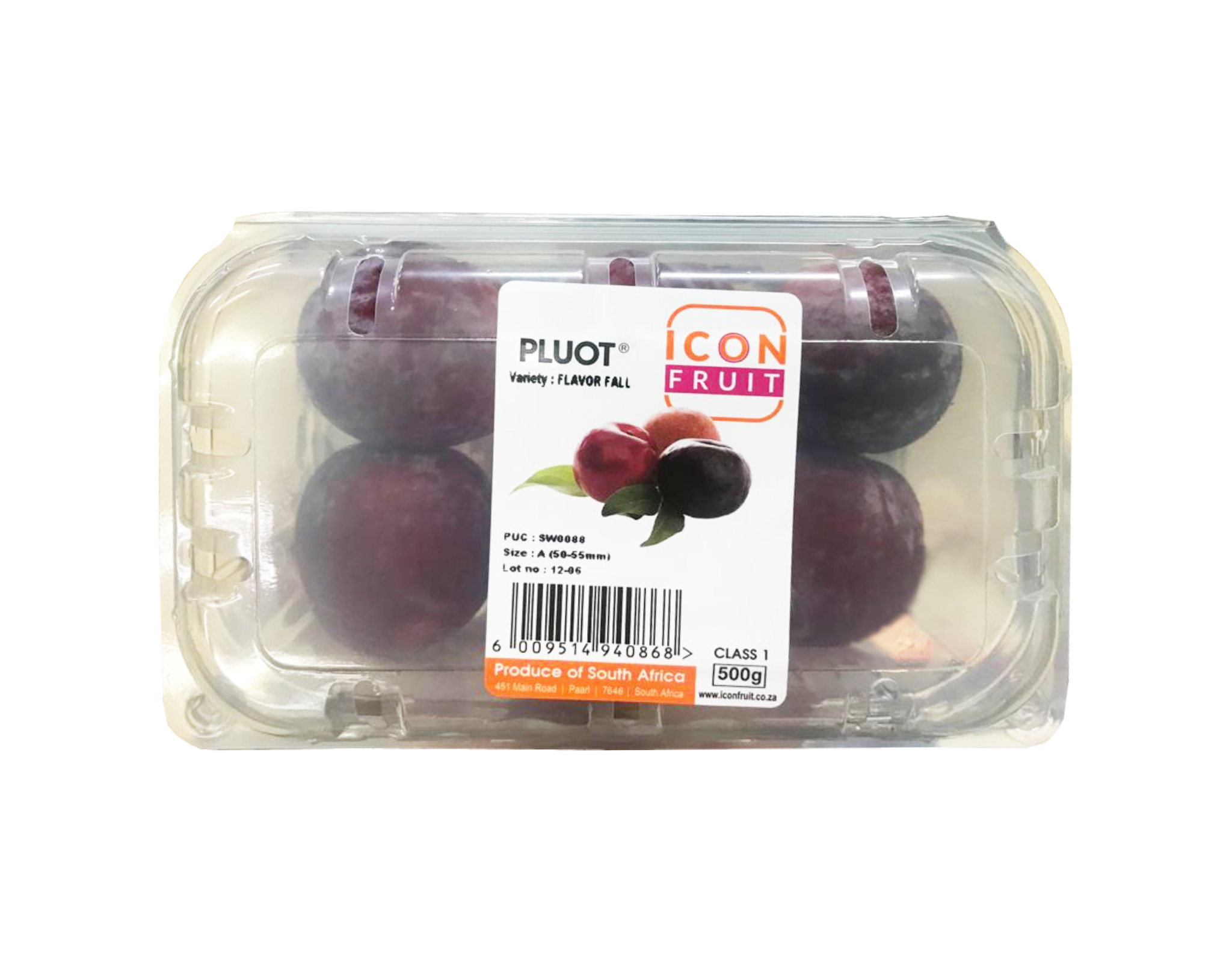 South Africa Flavor Fall Pluot (1 Pack) | myaeon2go