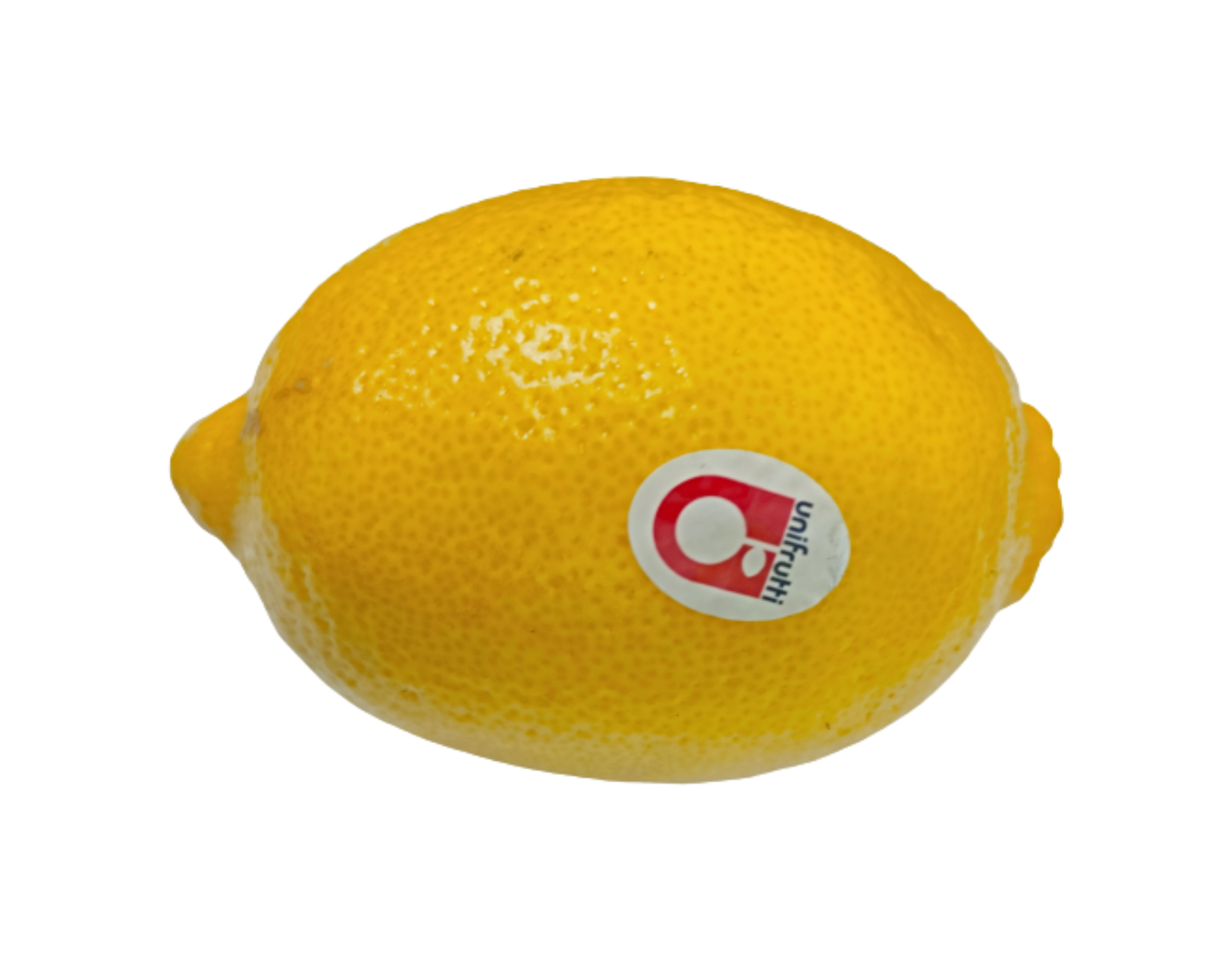 South Africa Lemon - Fresh and Juicy Citrus Fruit from South