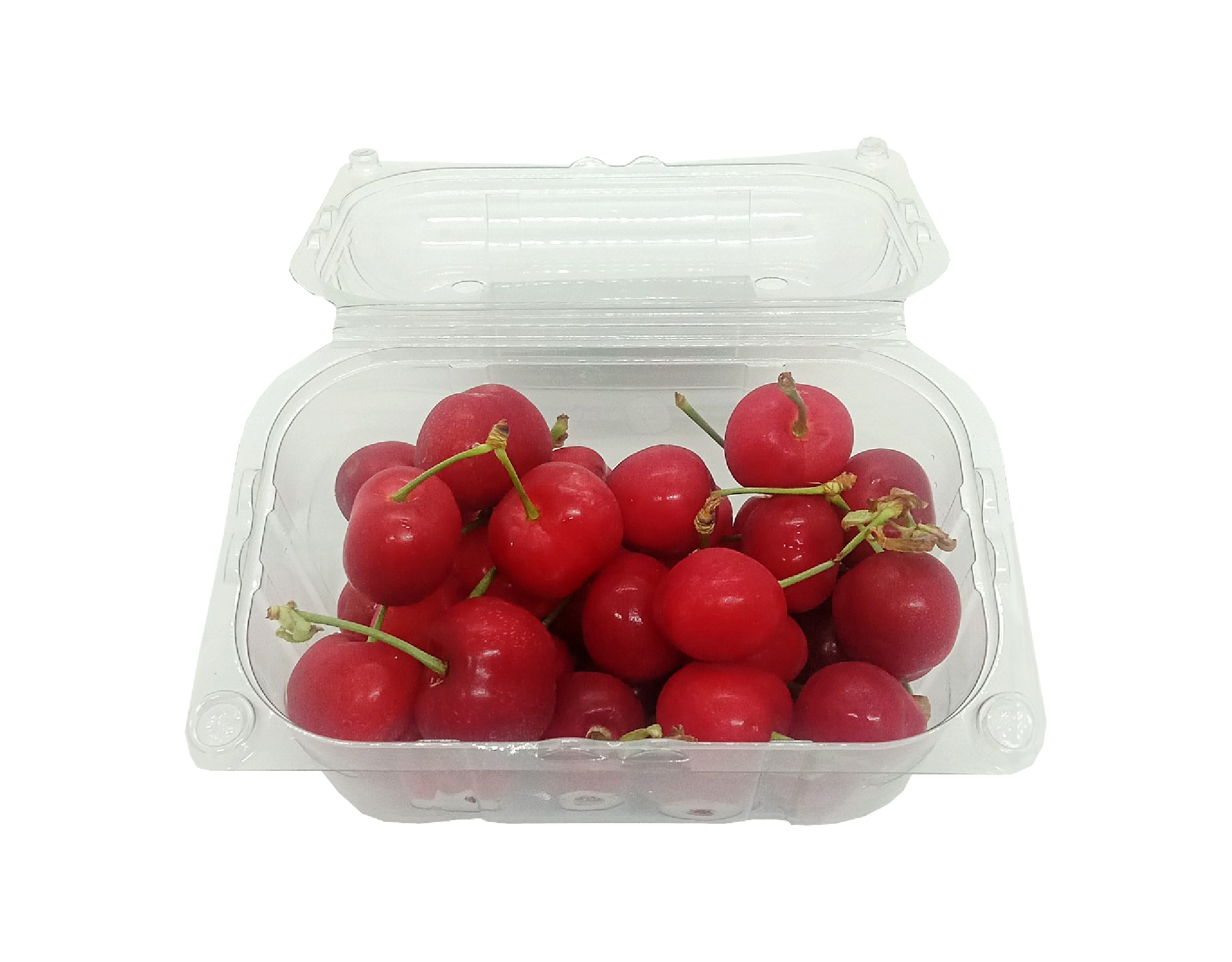 Turkey Cherry (1 Pack) | myaeon2go