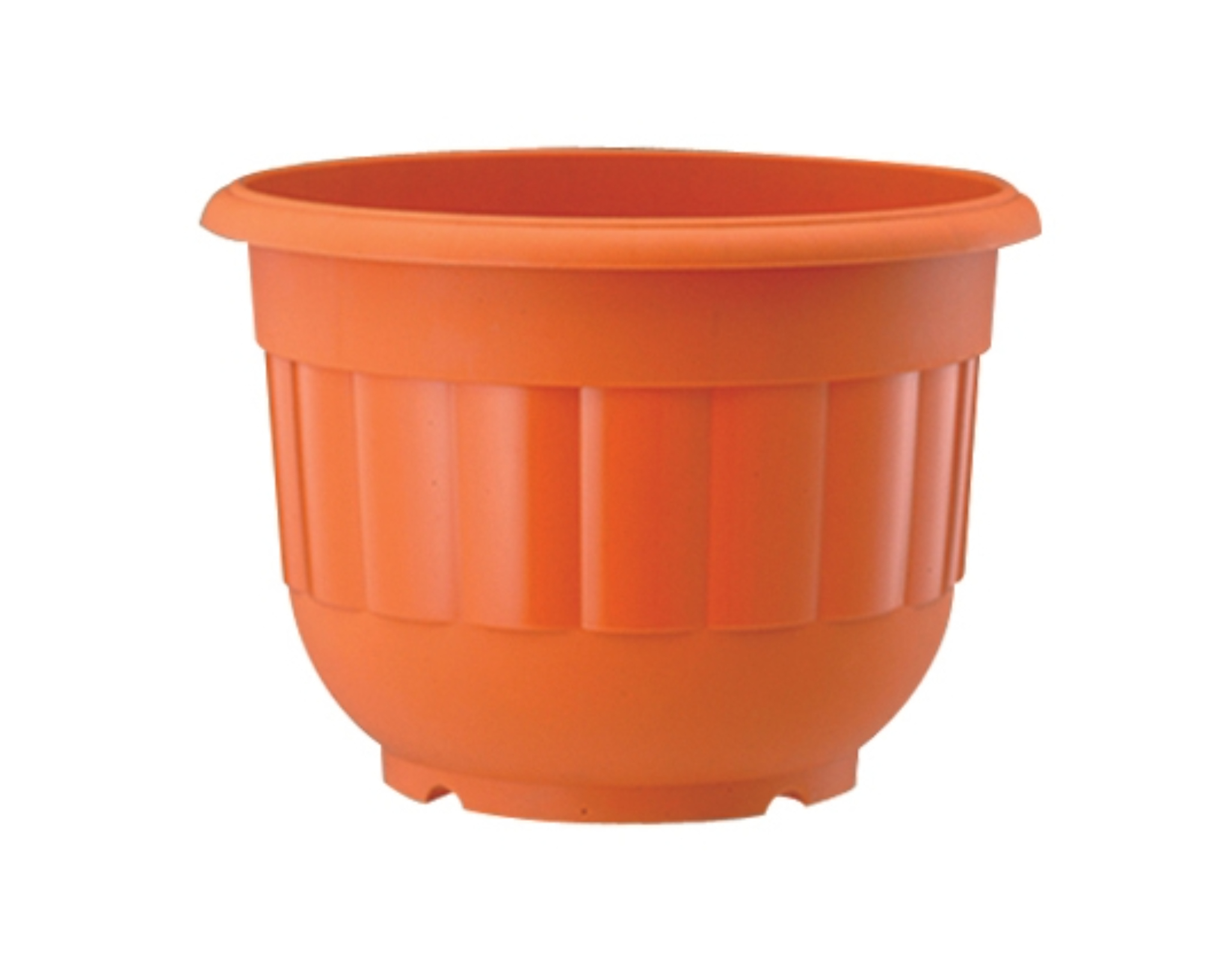 Baba Pot Cotta (BI-2016) | myaeon2go