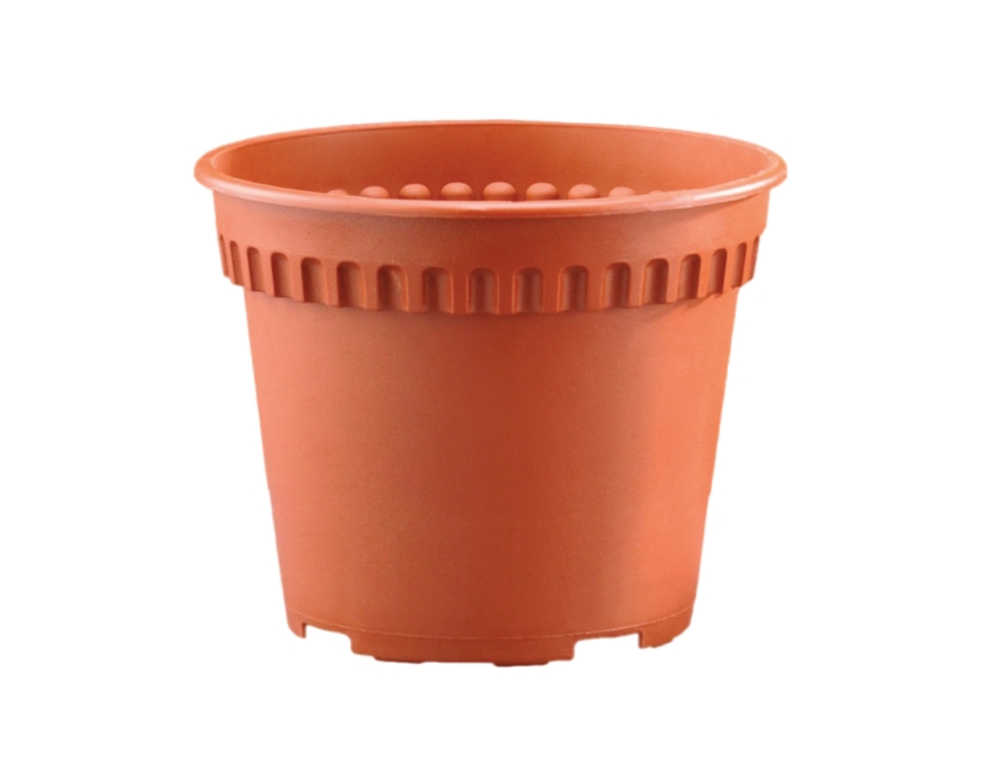 Baba Pot Cotta (BI-RD-150) | myaeon2go