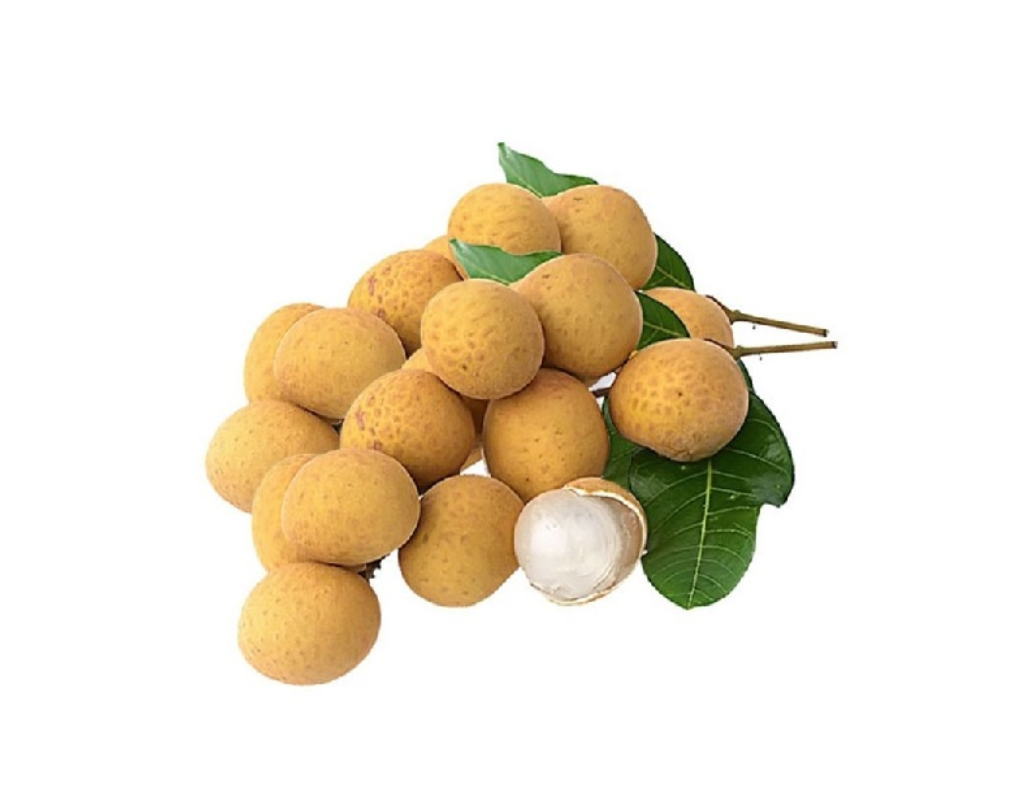 Thai Longan (1 Pack) | myaeon2go
