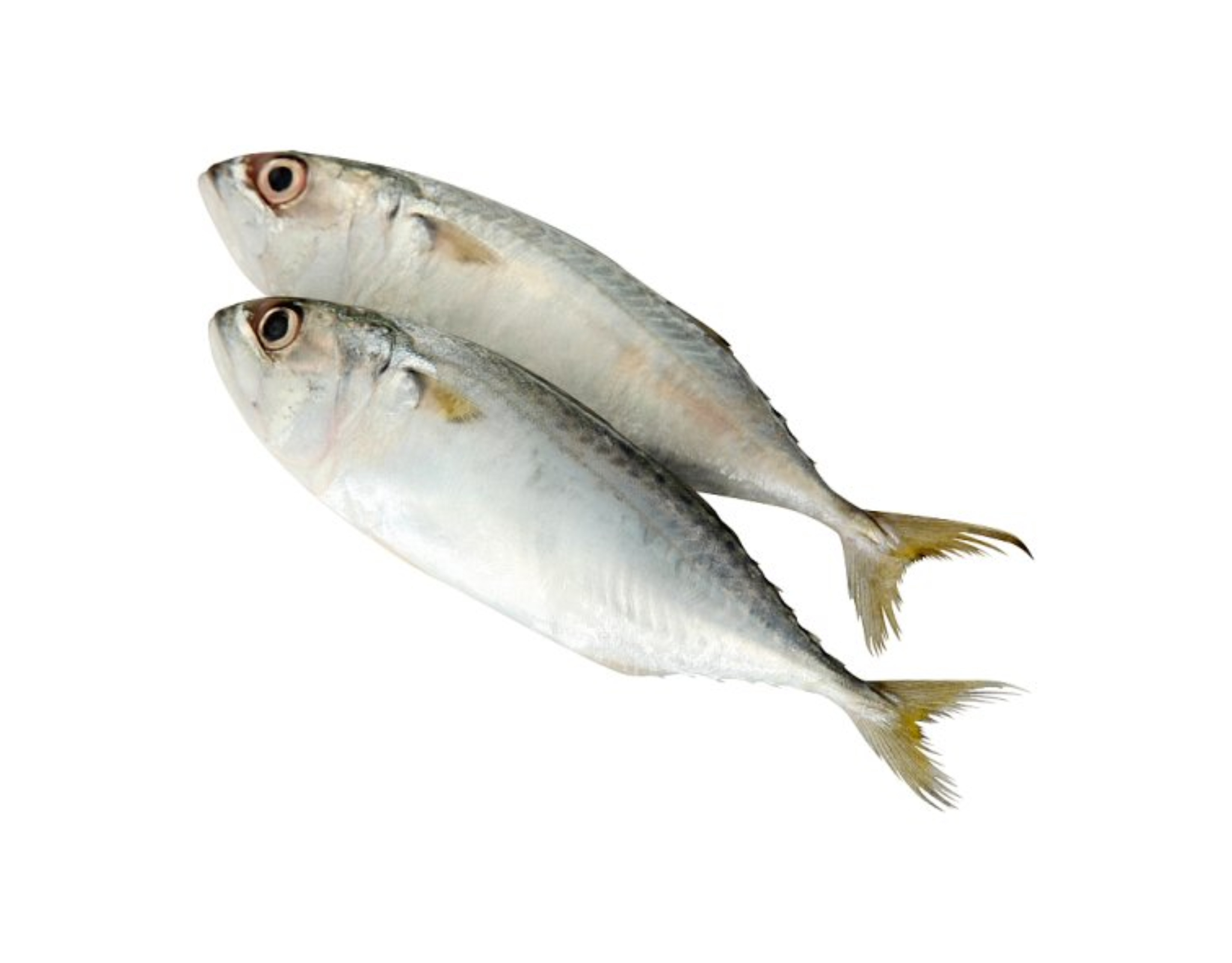 Piau Kee Ikan Mabong | myaeon2go