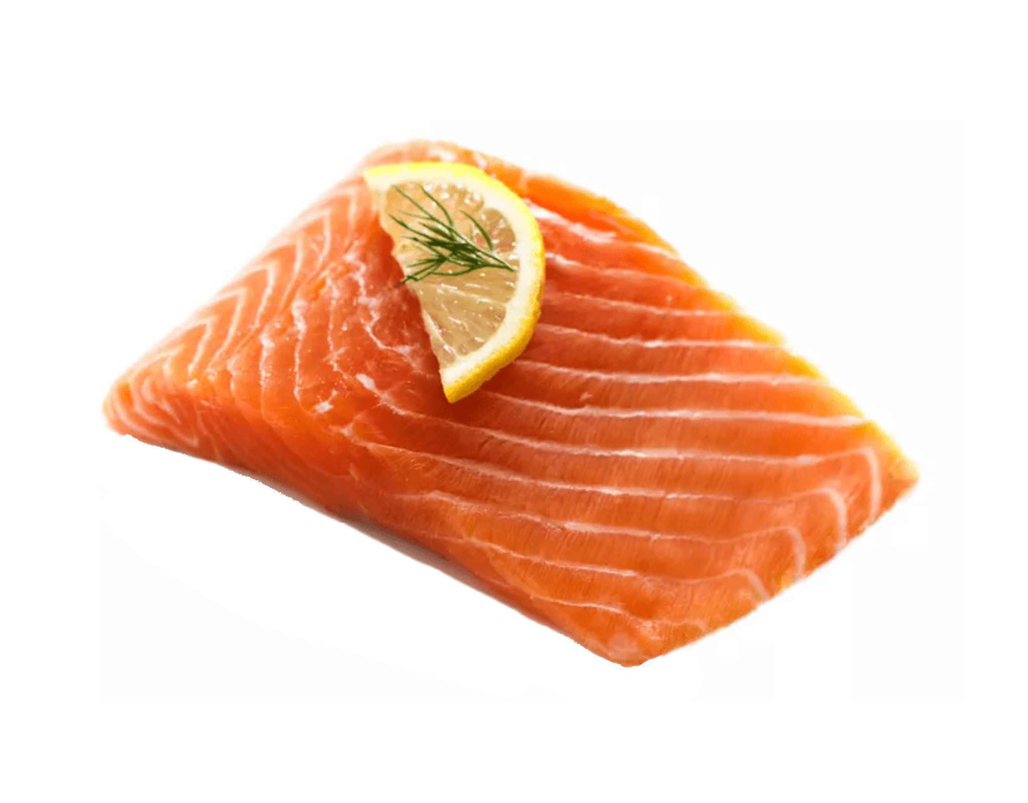 Fresh Norwegian Fjord Trout Fish Fillet