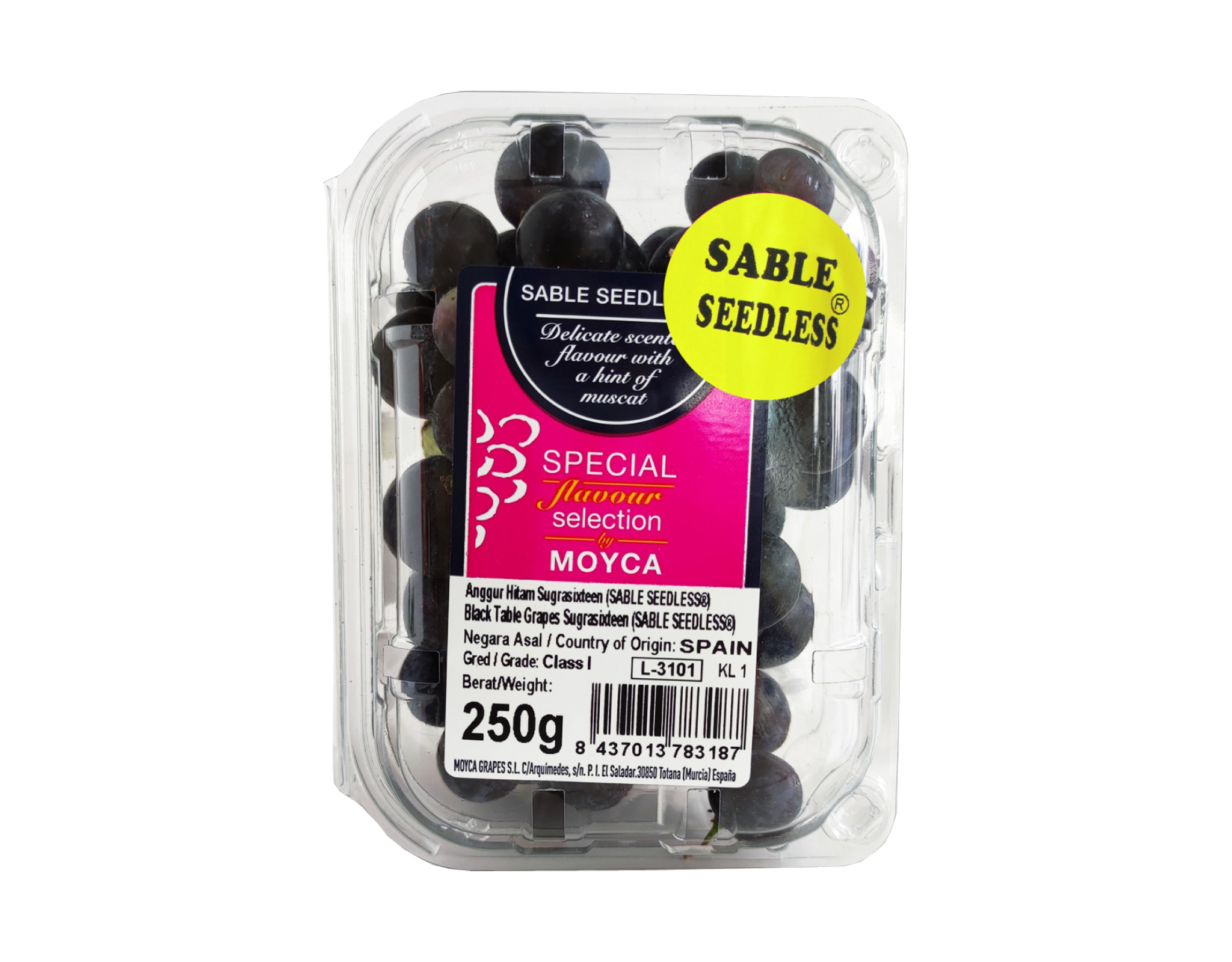 Moyca Spain Sable Black Seedless Grapes | myaeon2go