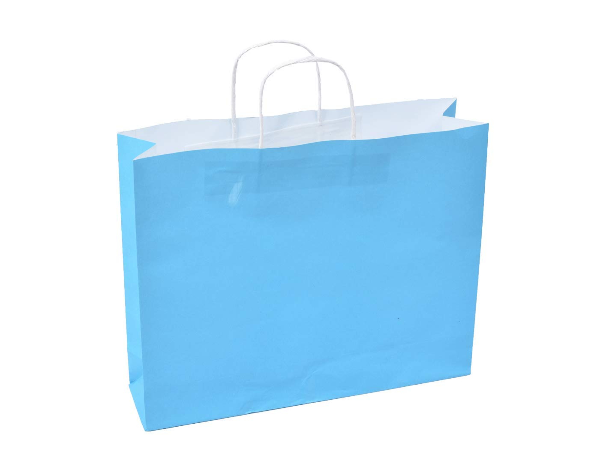 Paper Shopping Bag Blue | myaeon2go